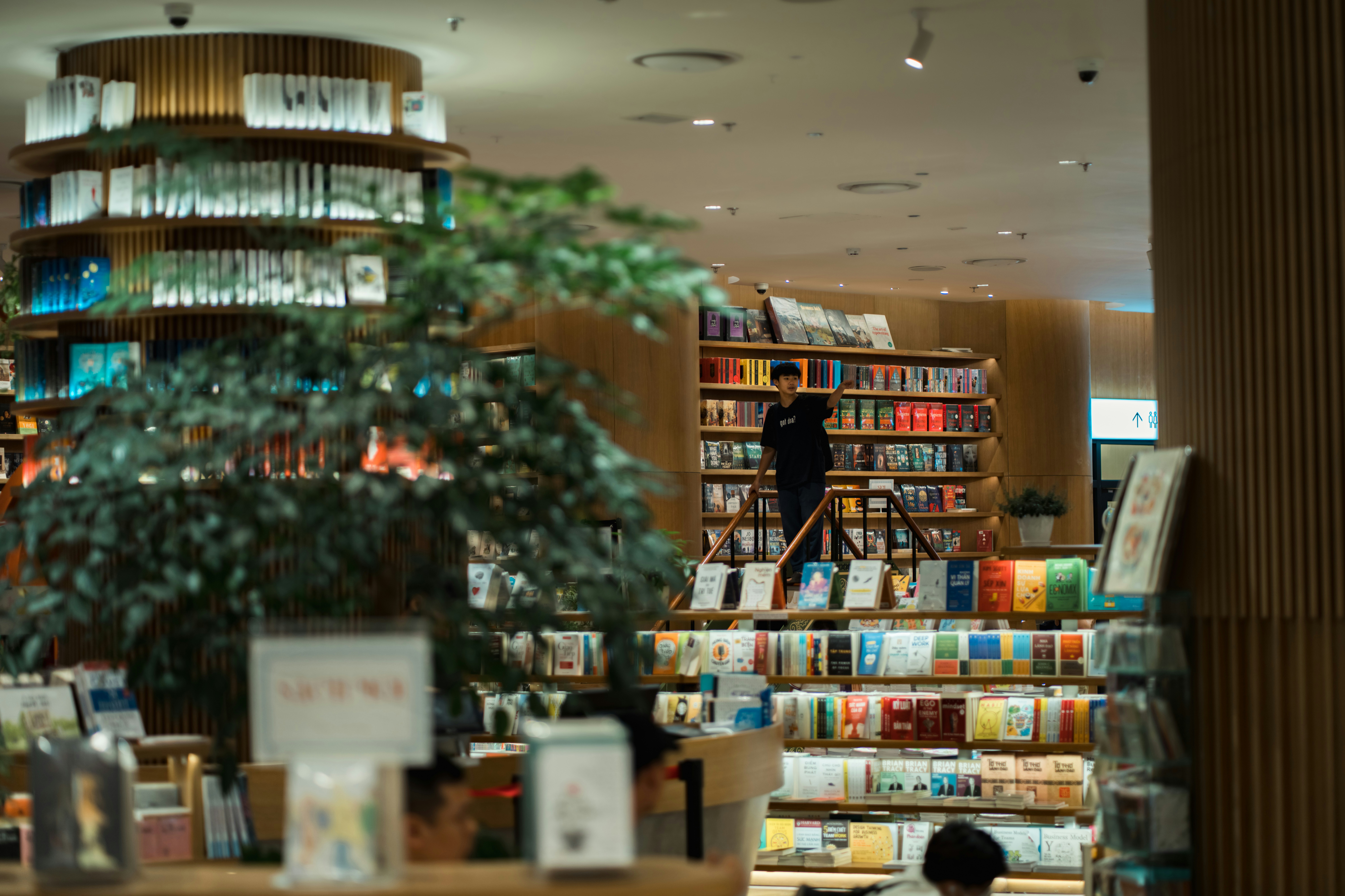 In-Store Quiet: A Reader’s Haven Amid Shelves and Soft Light