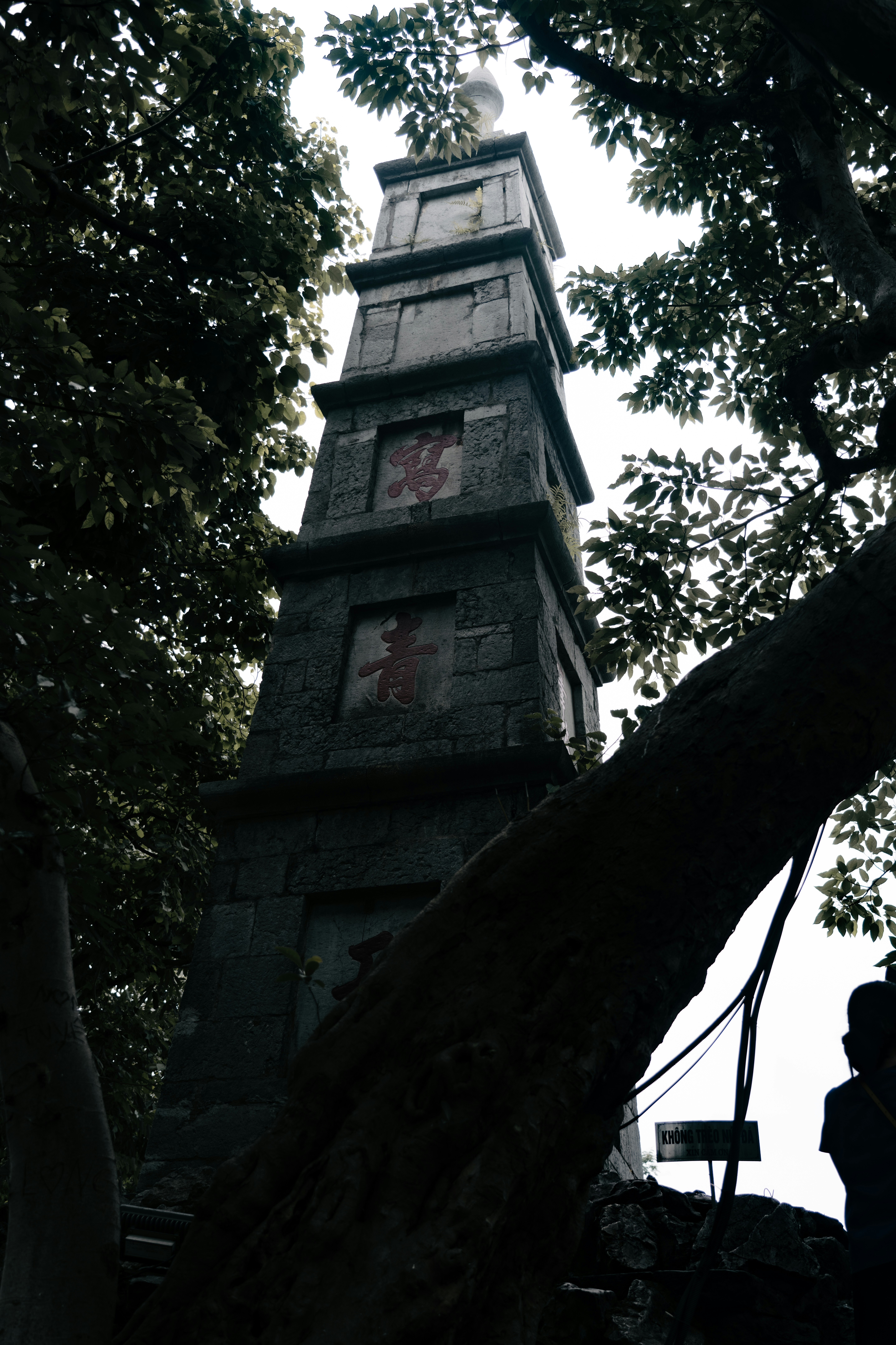 Stone Pagoda Reaching Skyward in Quiet Canopy