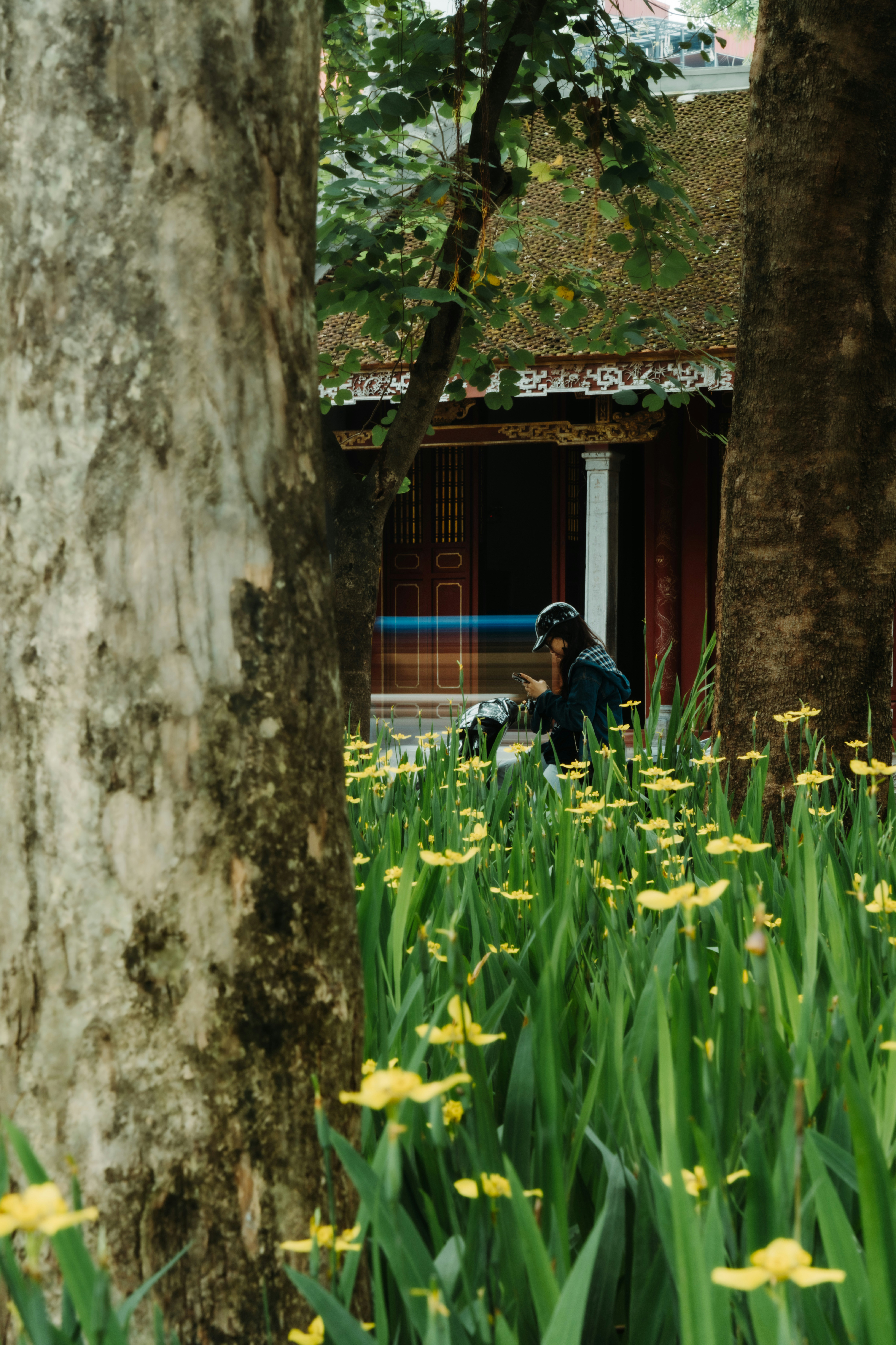 Quiet Conversation in the Sunlit Courtyard
