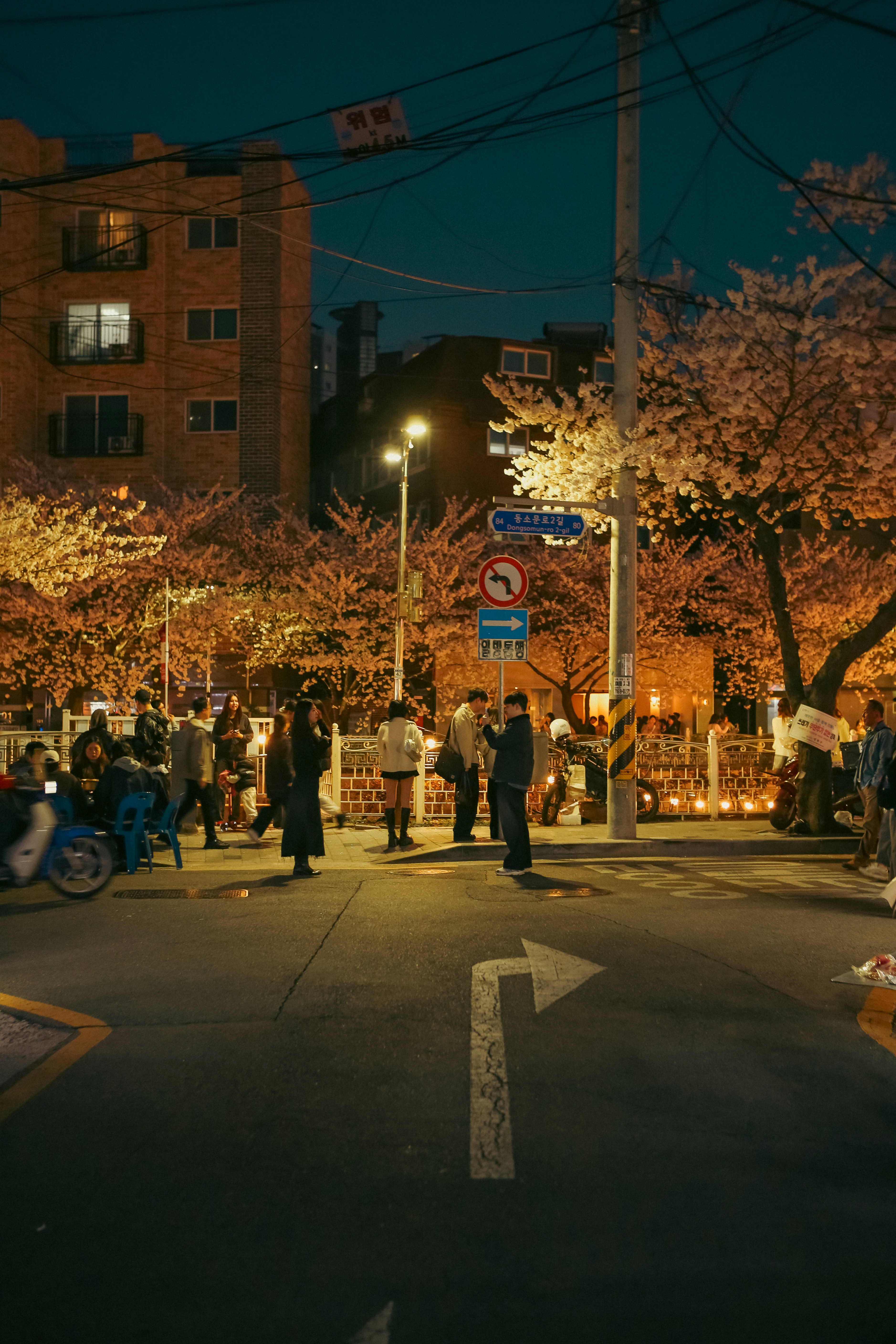 Night Market Under Cherry Blossoms: Neon Lanterns and People in Quiet Conversation