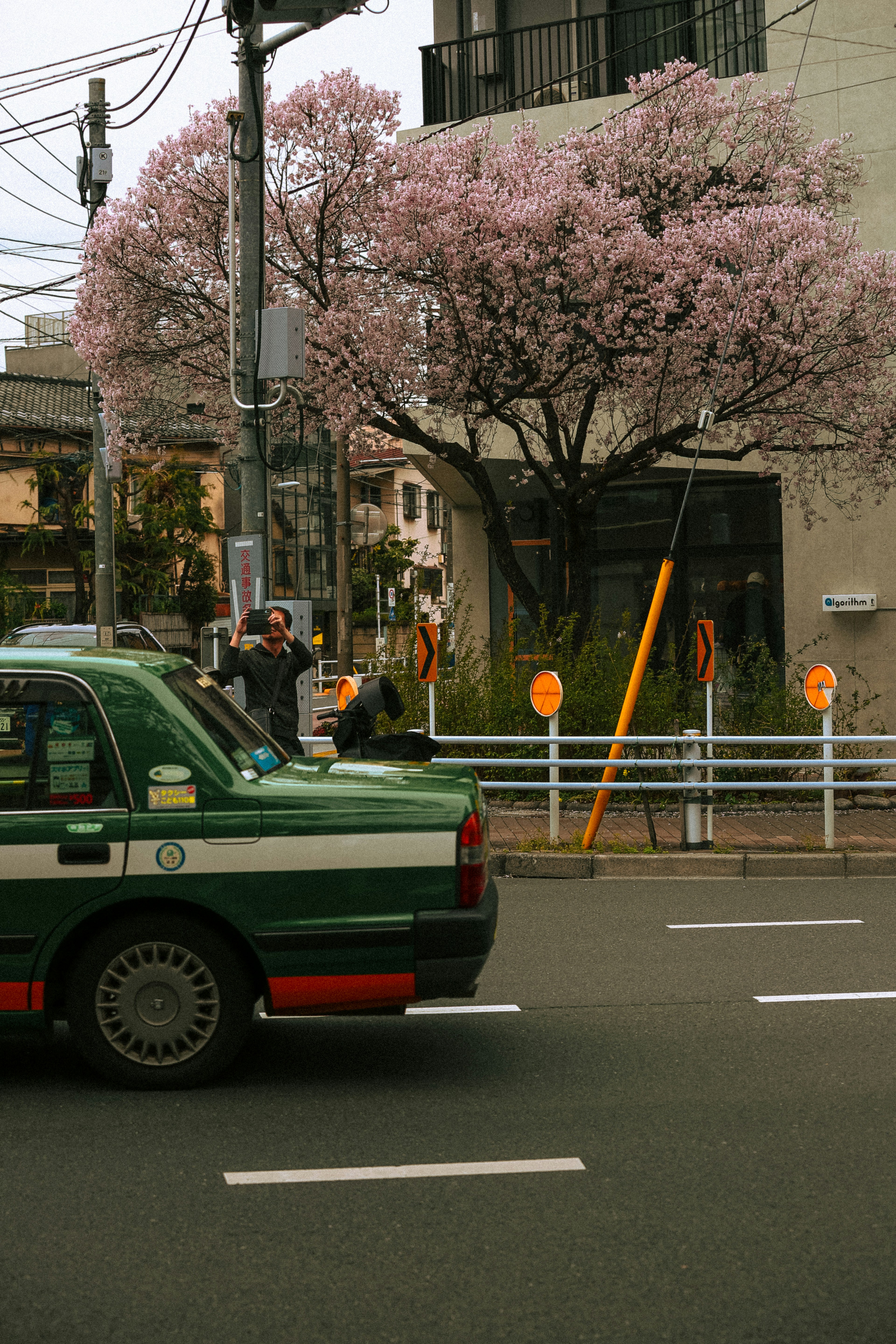 Cherry Blossom Street Scene with Green Taxi and Passerby
