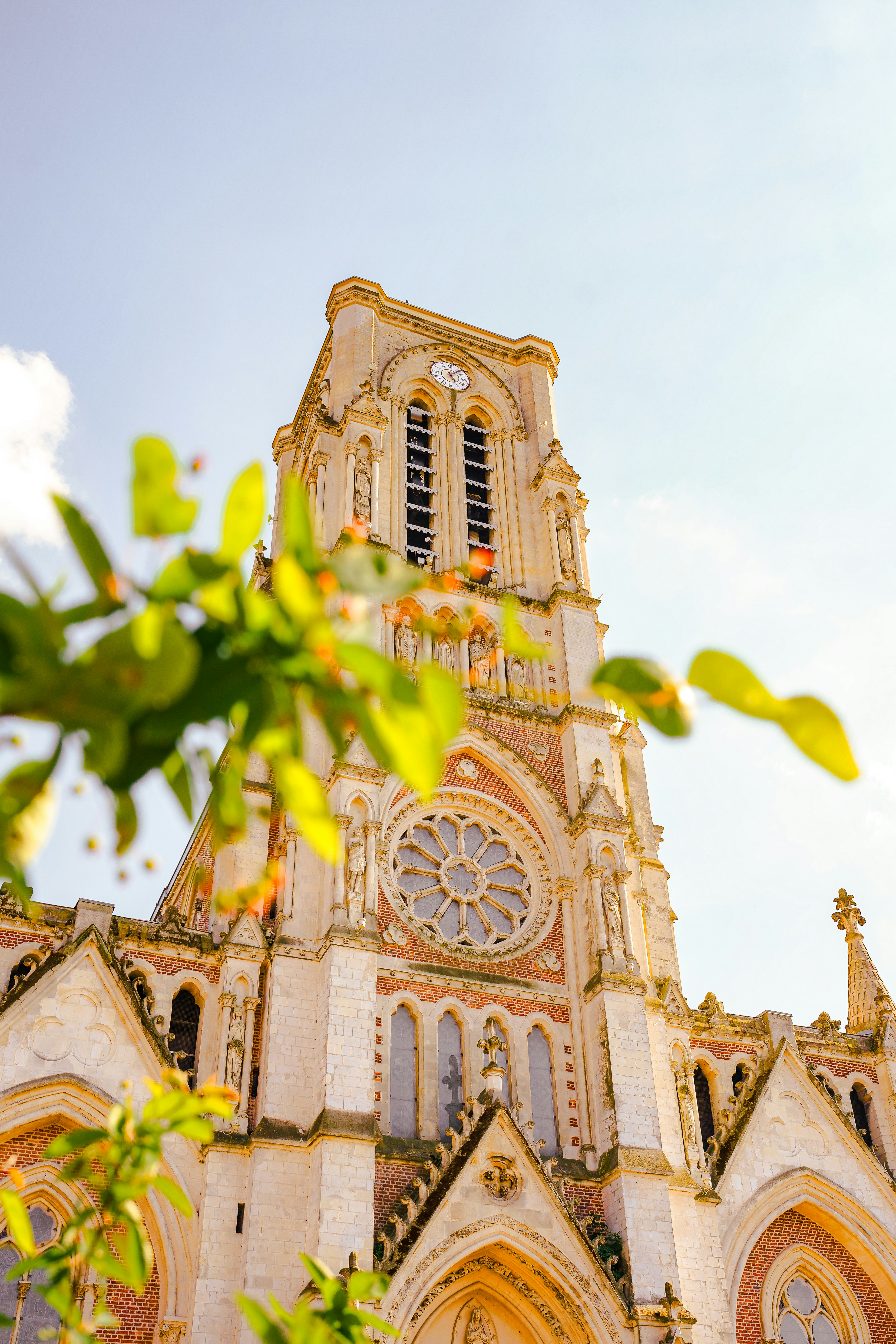 Cathedral in Focus: Sunlit Facade Framed by Bright Foliage