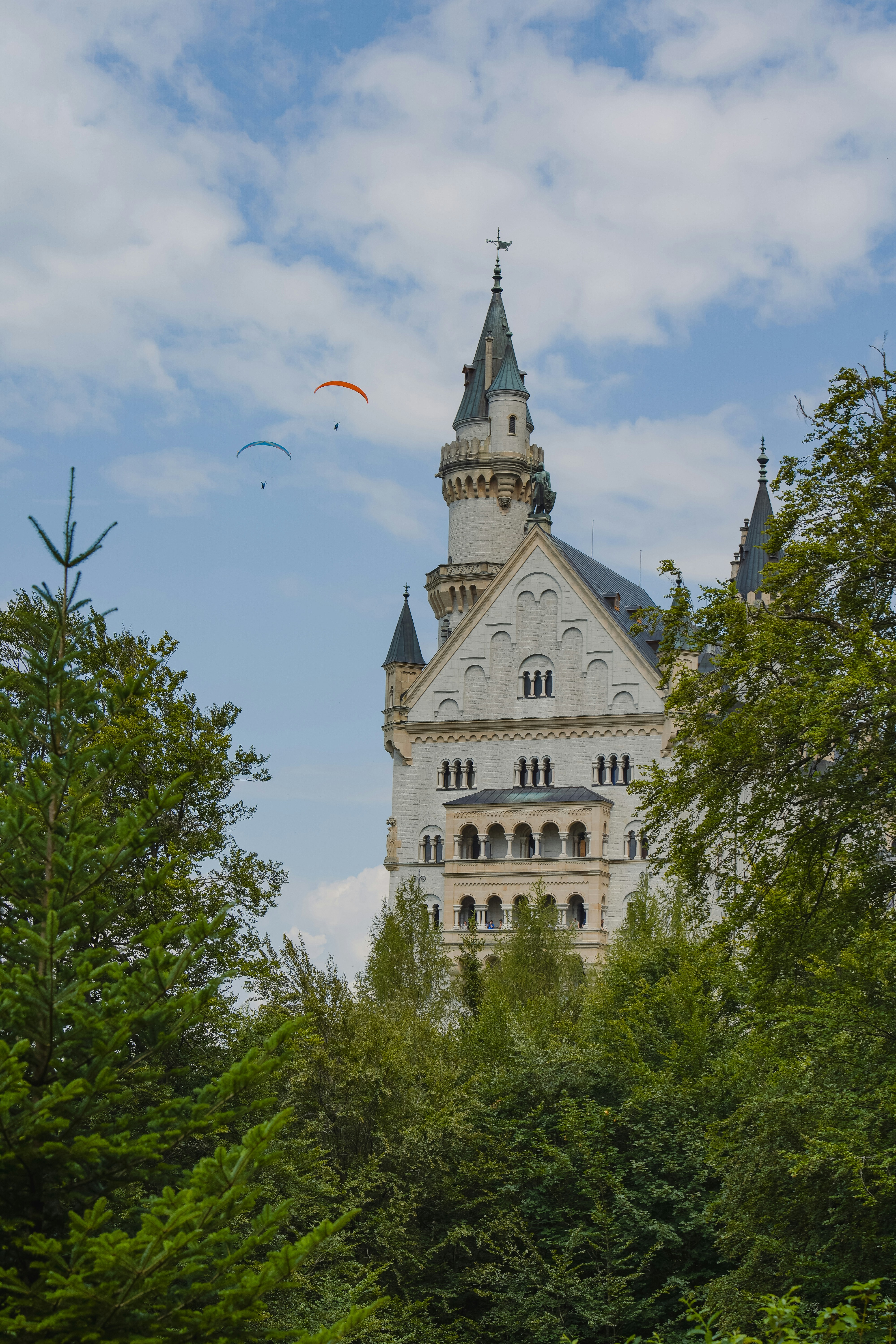 Castle Tower Peeking Through the Green Veil