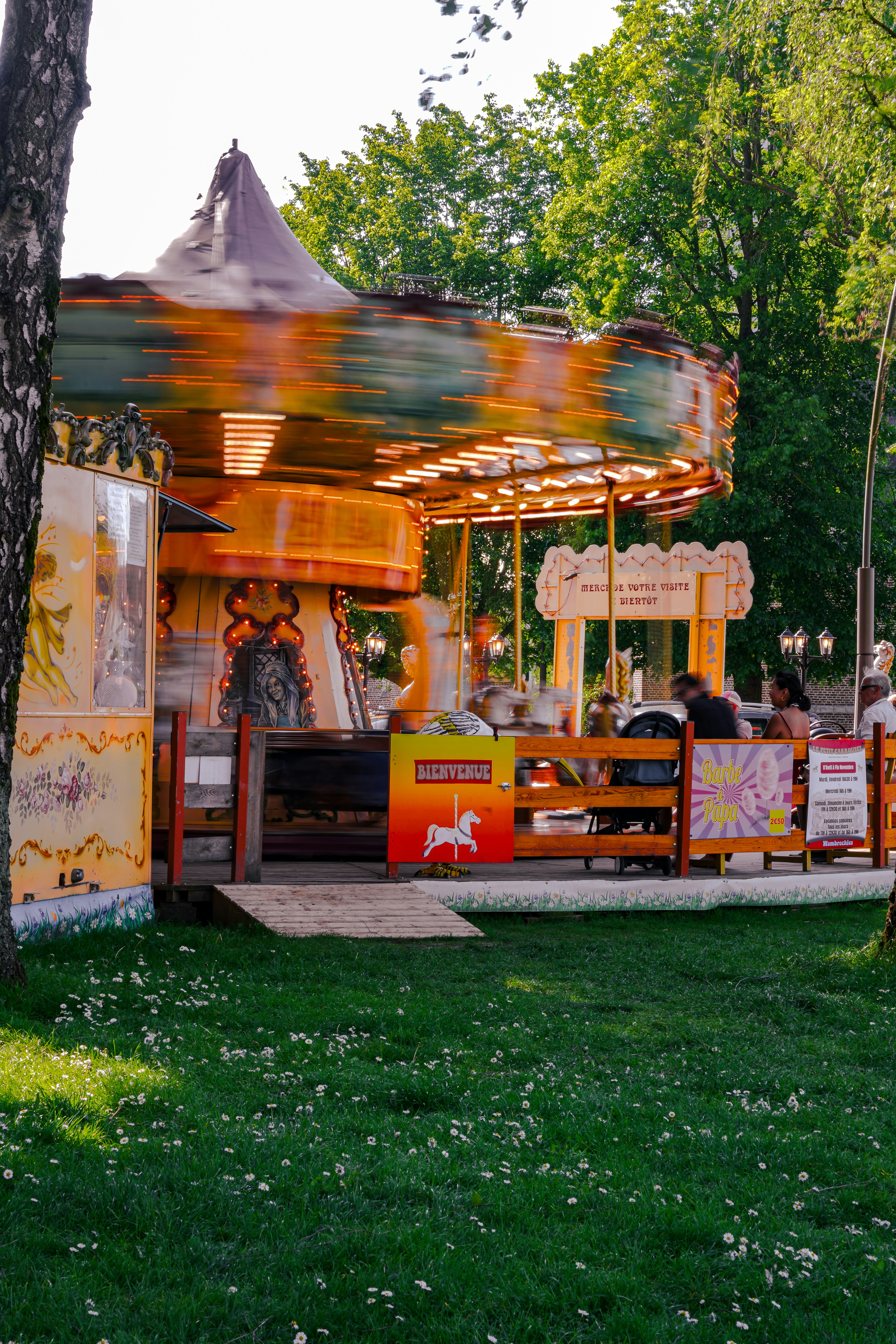 Carousel in a Sunlit Park: Motion, Color, and Quiet Nightlife