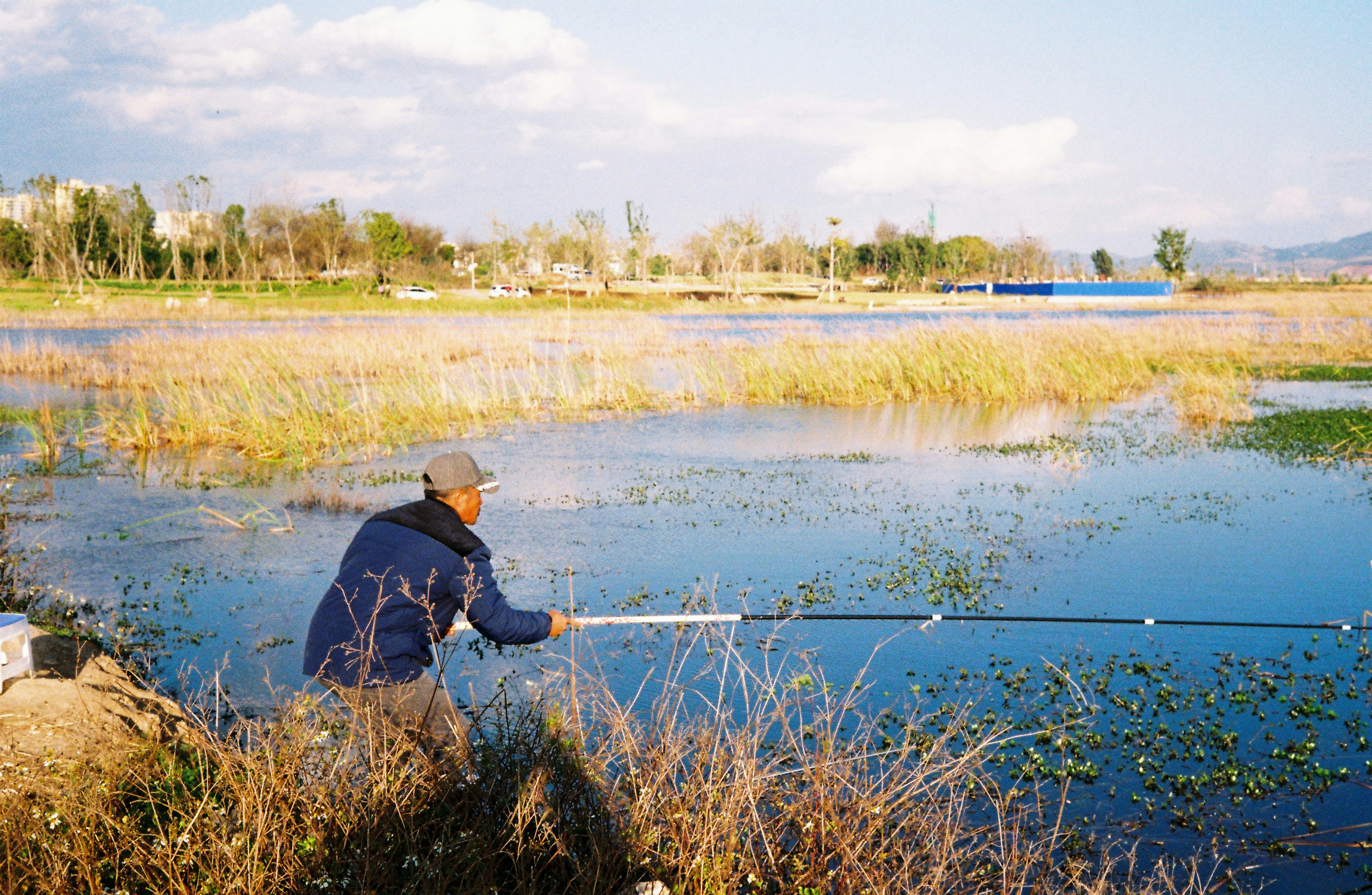 Angler at the Quiet Edge: Casting into a Golden Marsh