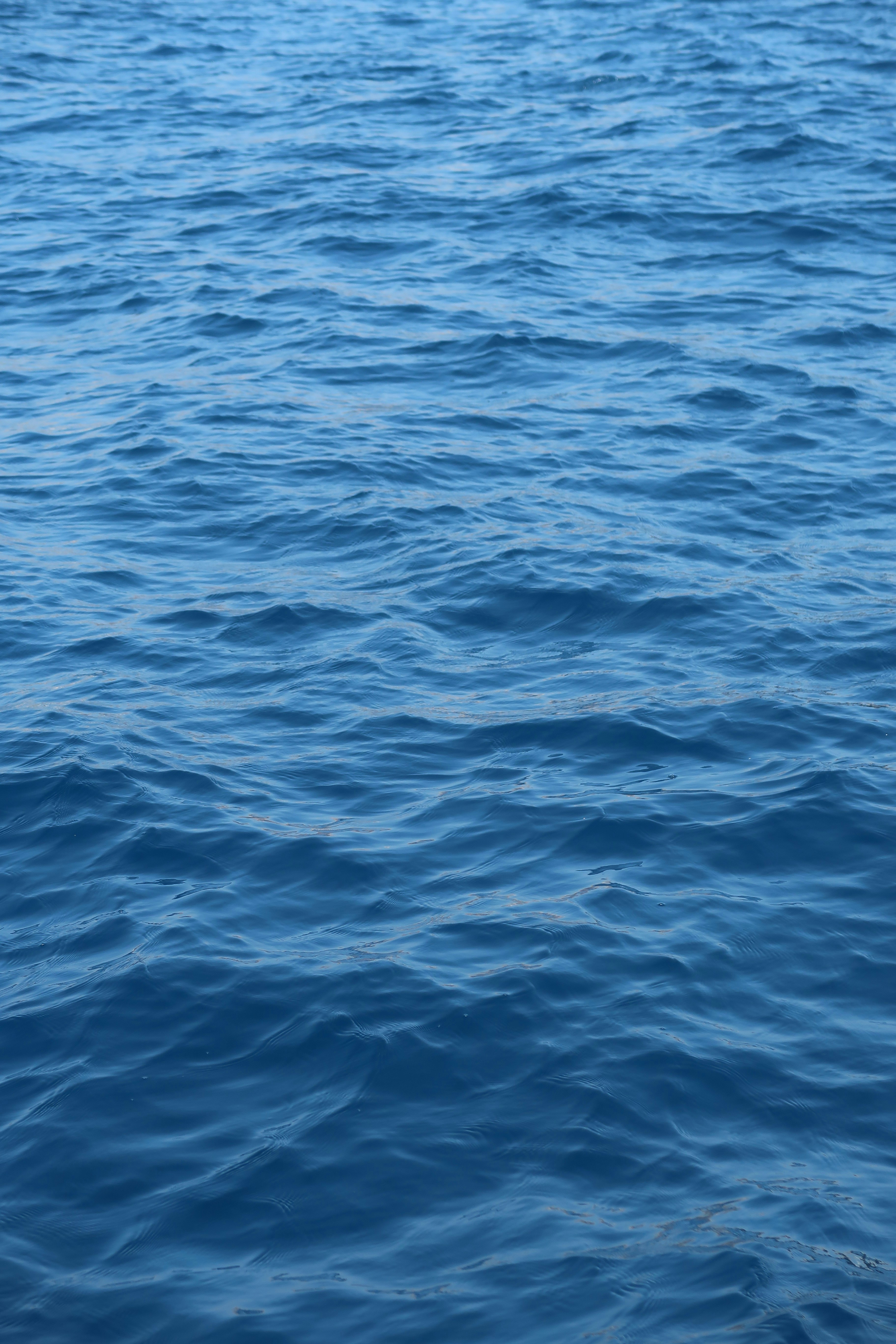 A Vast Quiet of Ocean Blue