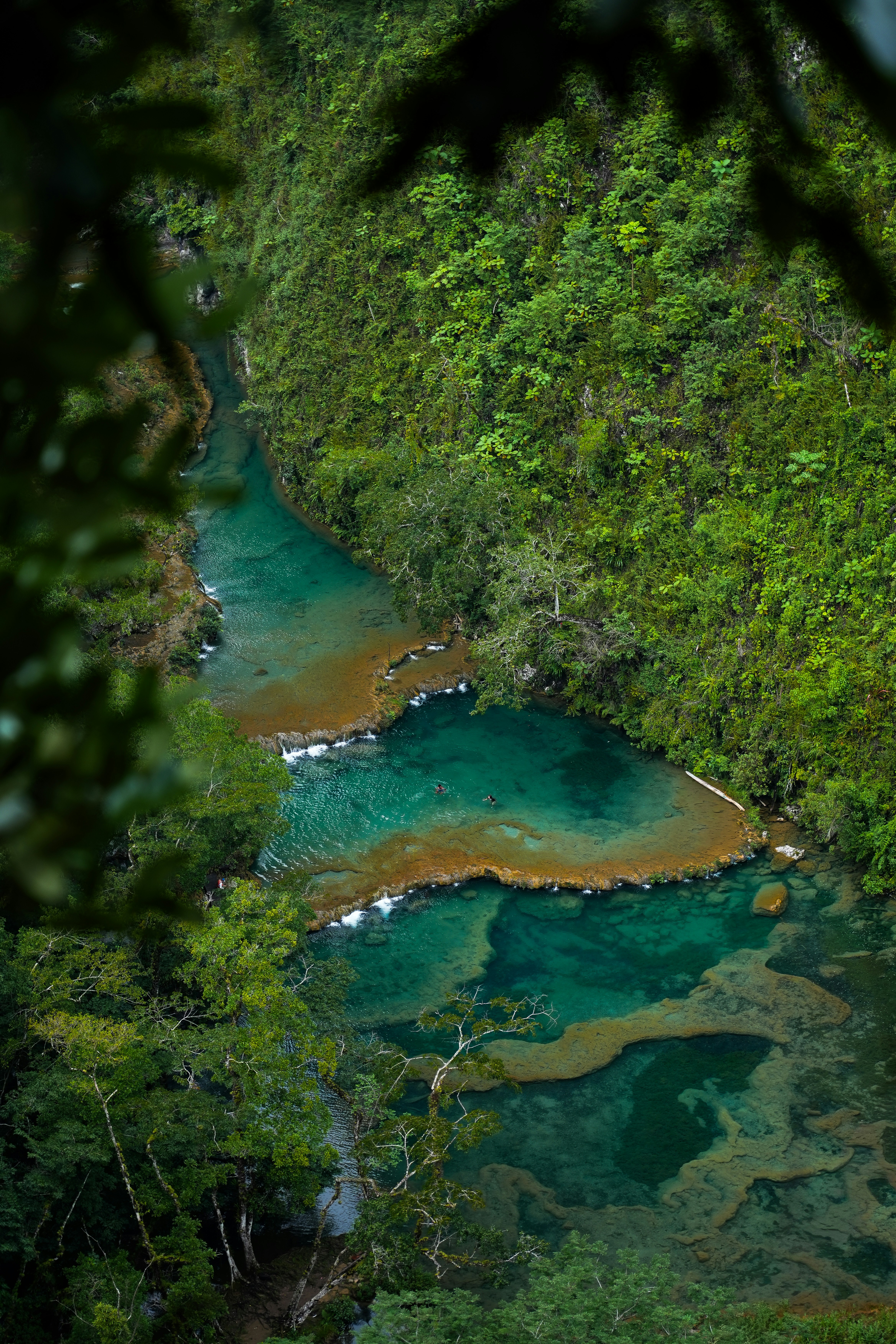 Emerald Ravine: A Serpentine River Braid Through Jungle Deep