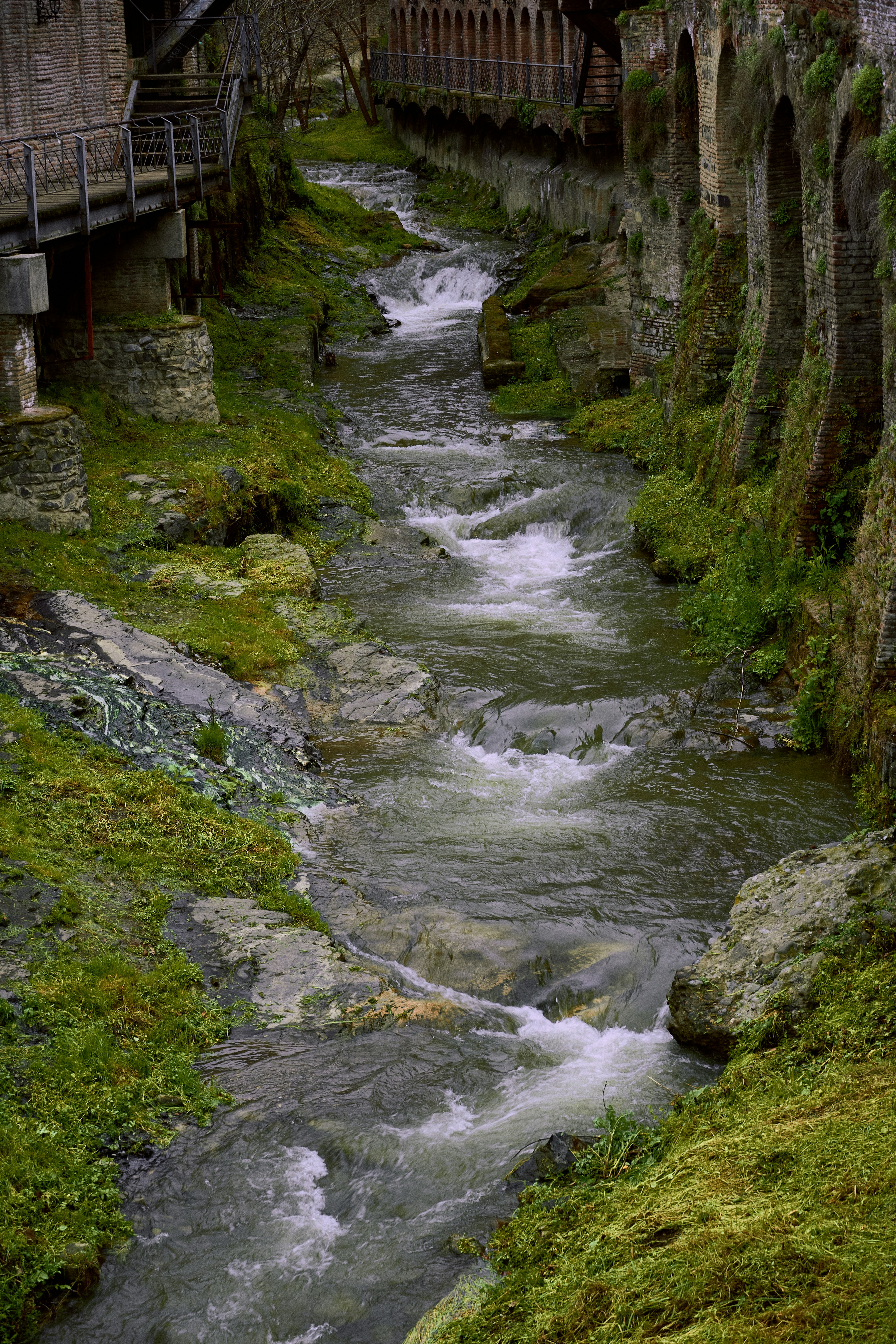 Rivulet Through Mossy Stone Corridors