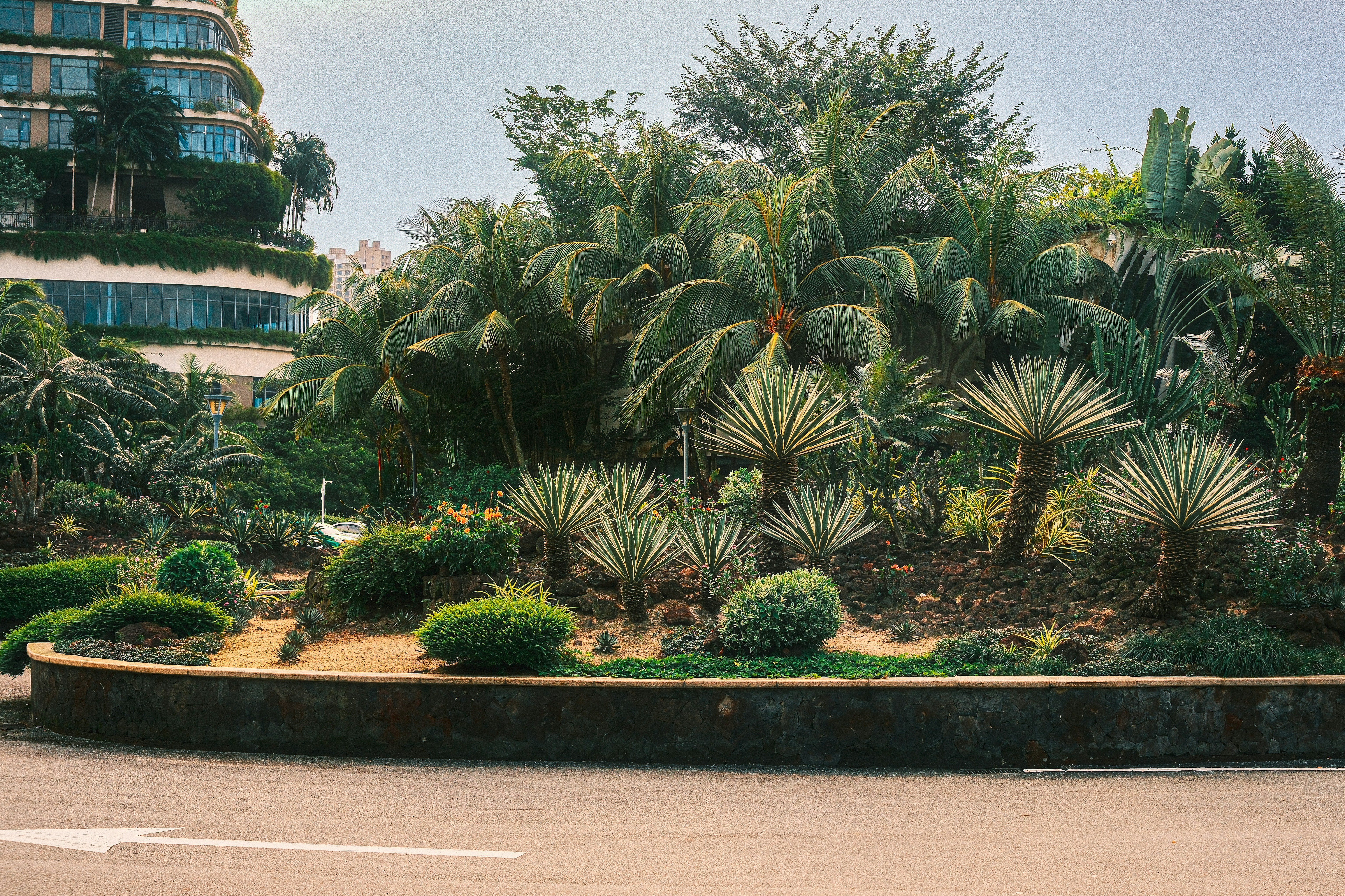 Urban Garden in the Shadow of a Glass-Fronted Building
