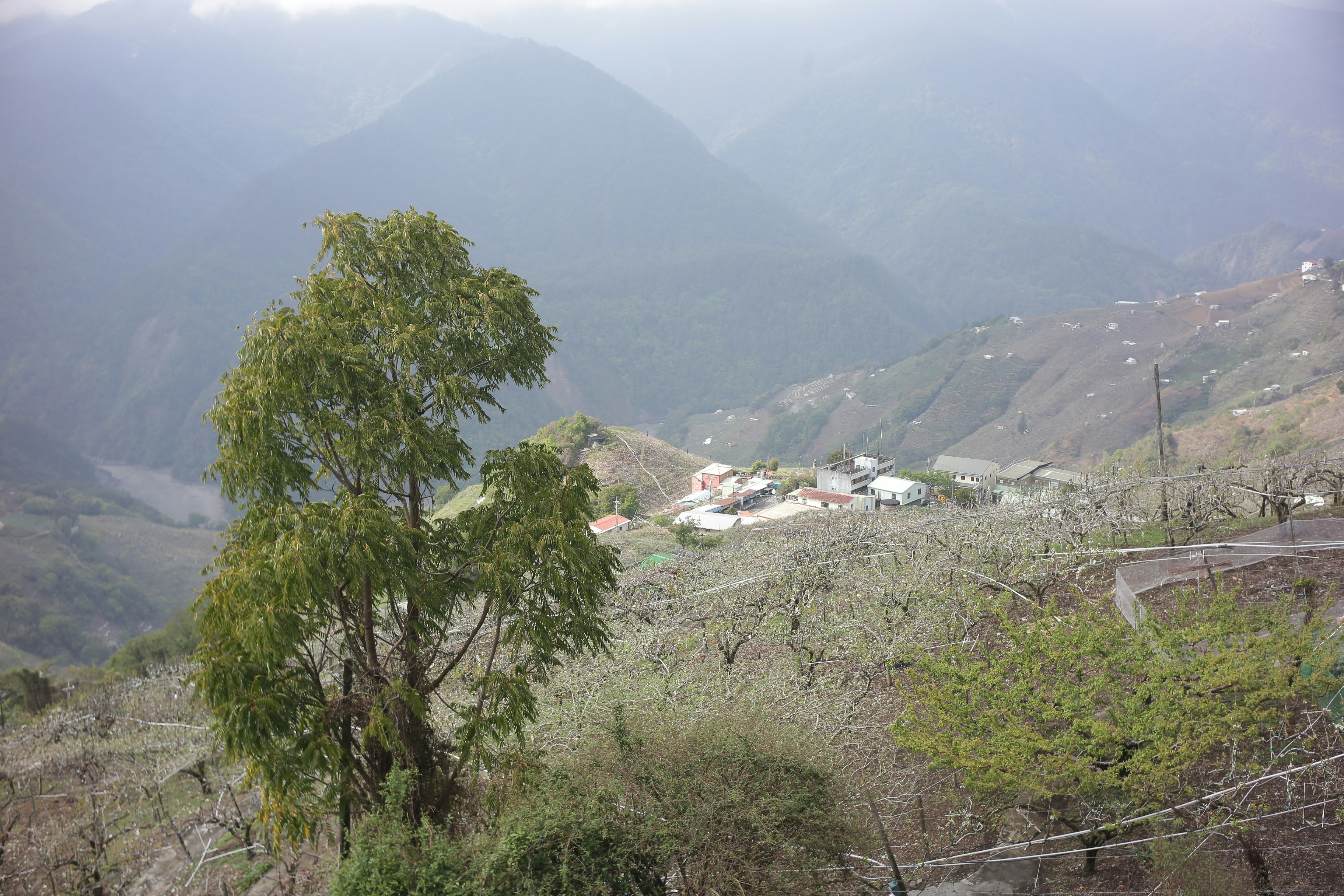 Terraced village nestled in misty mountains