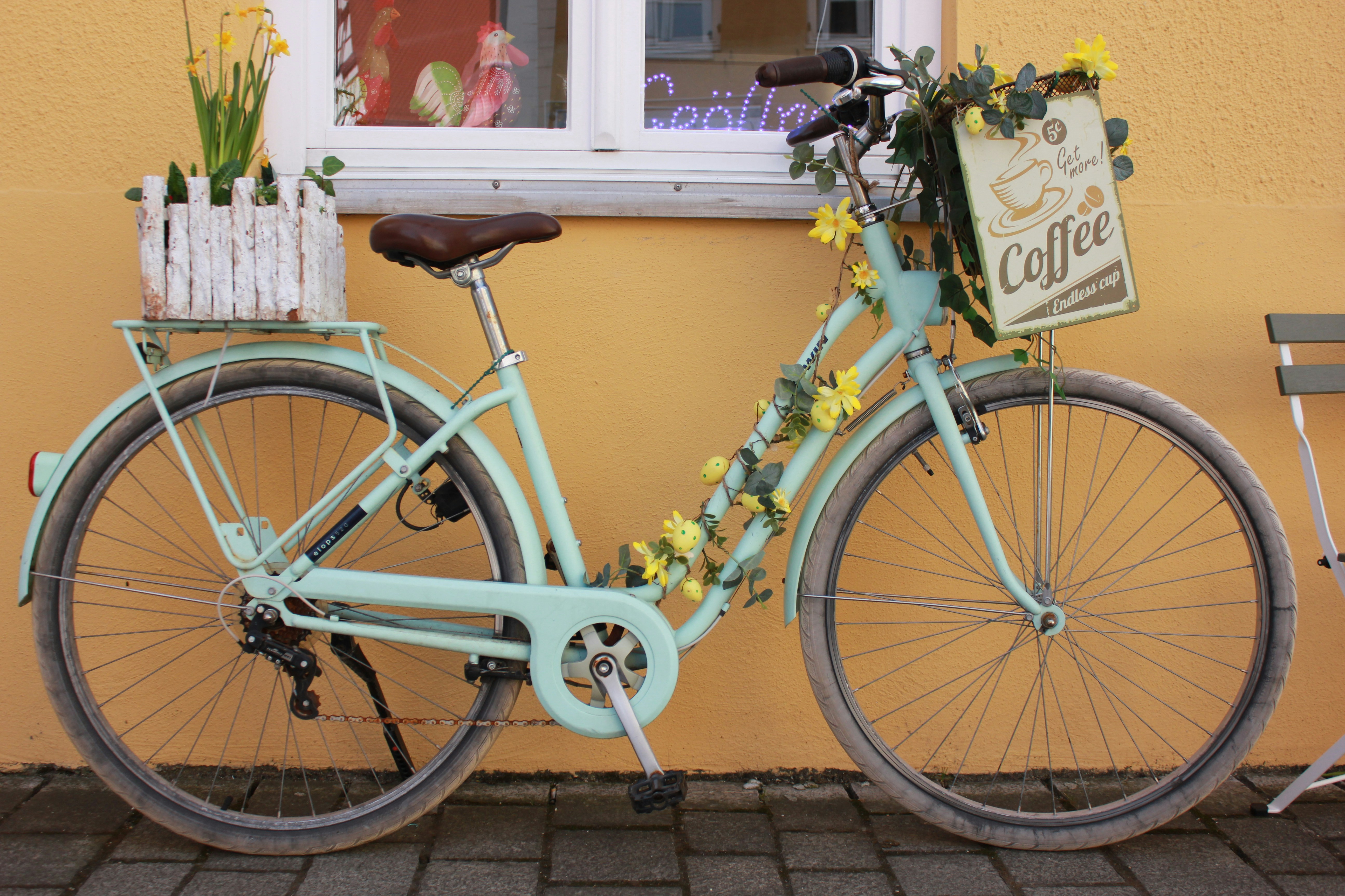 Pastel bicycle courting a café with ivy and sunshine