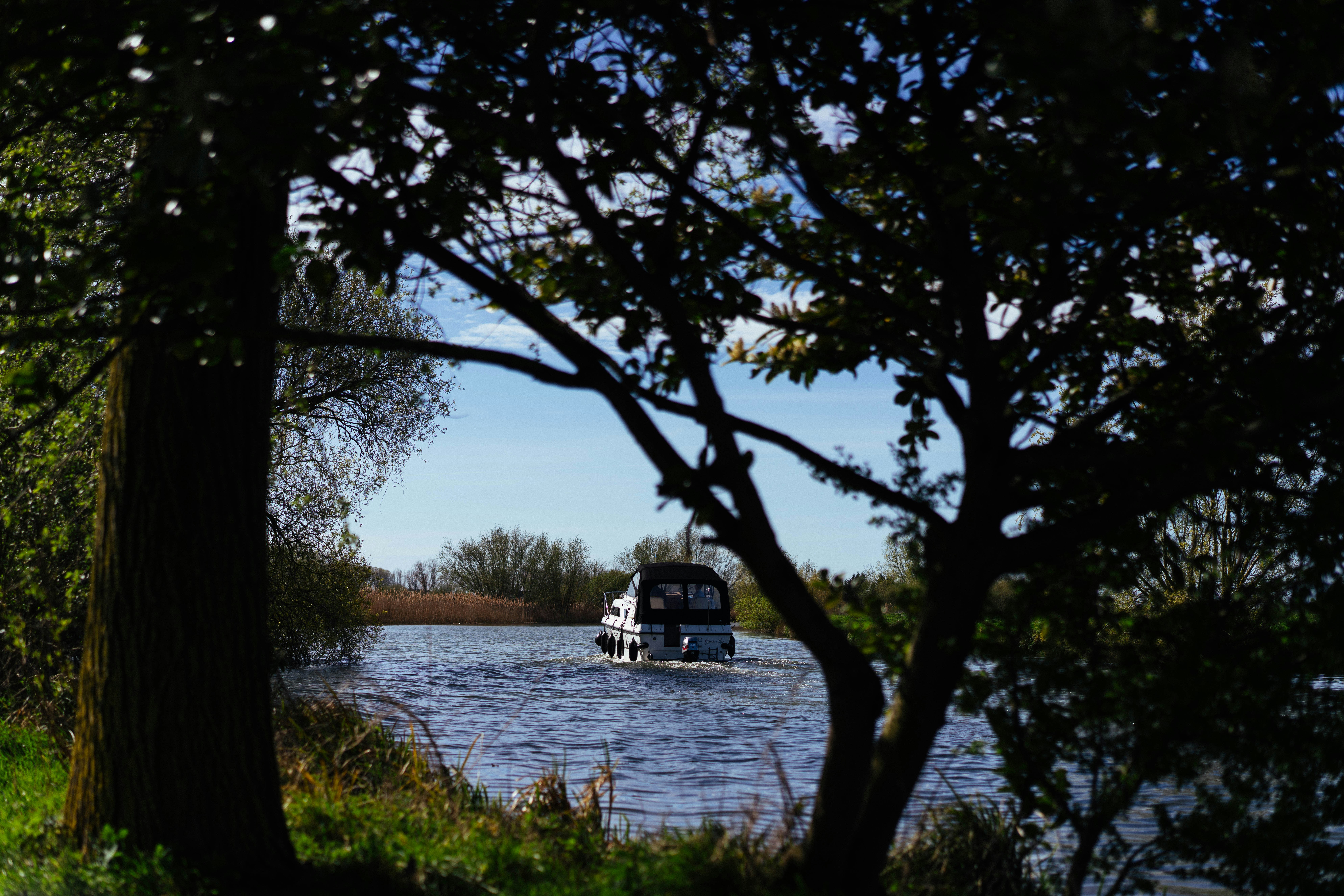 Hidden Boat through the Framed Clearing