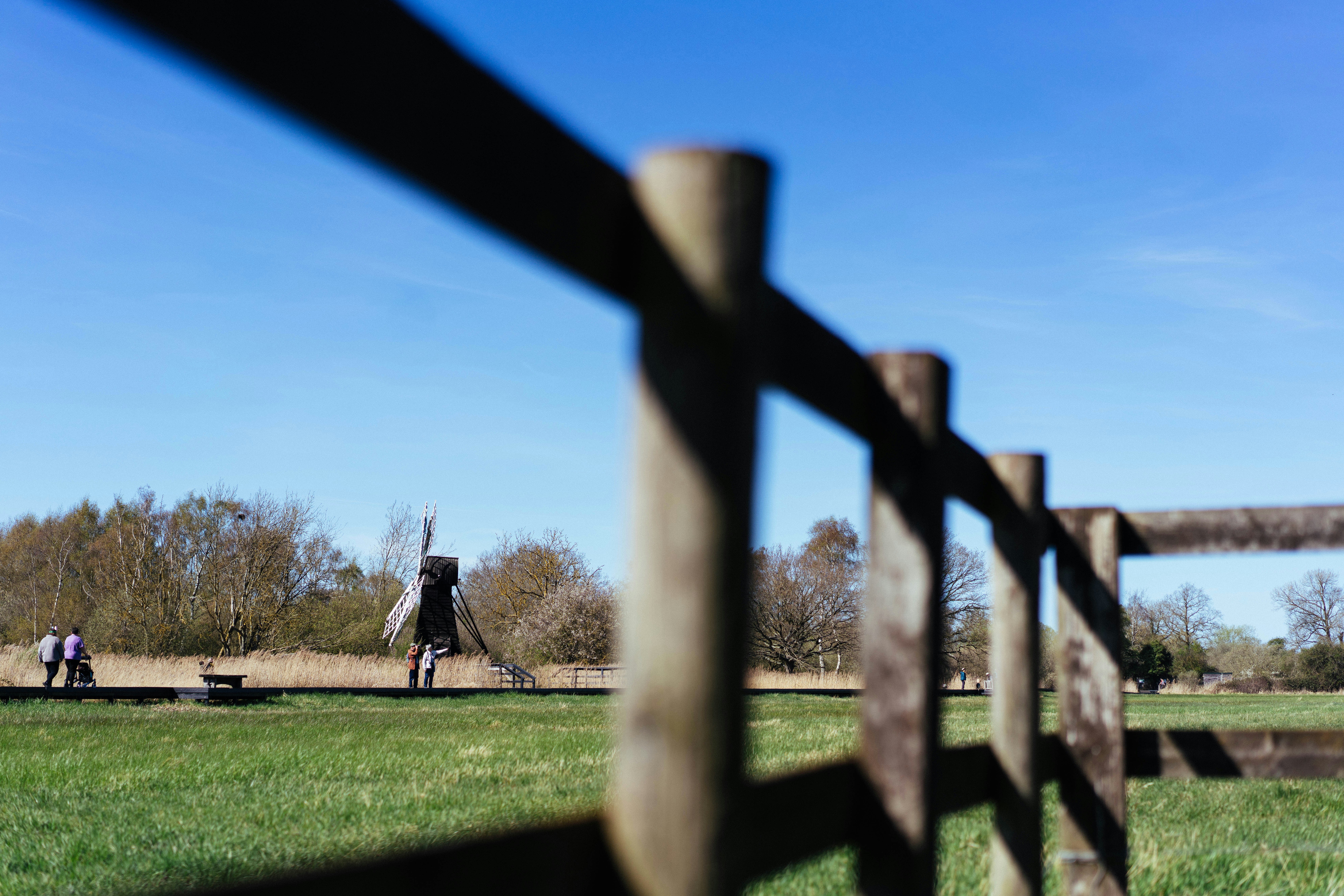 Fence Lines Lead the Eye to a Quiet Park Moment