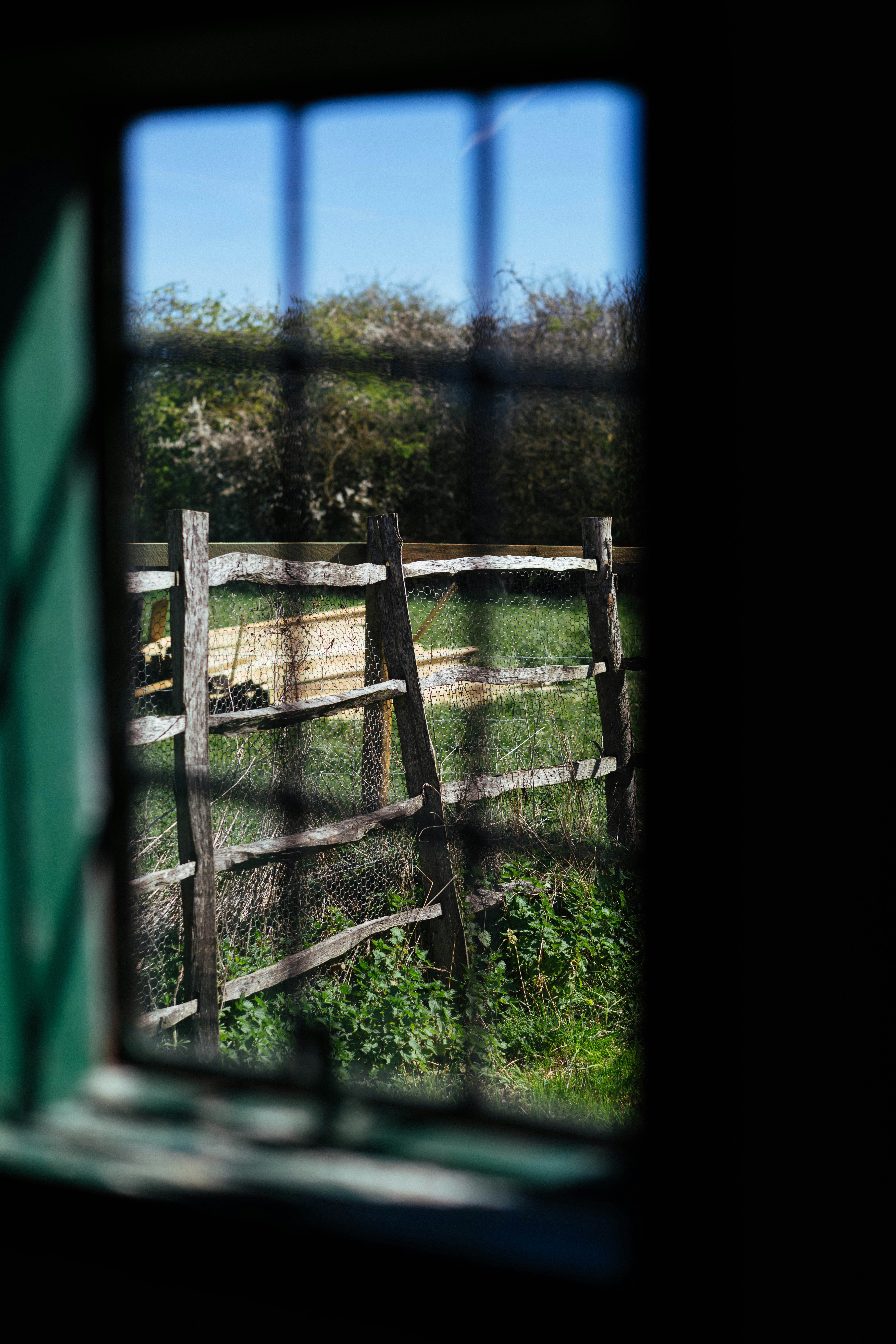 Windowsill View: Framed Fence and Pasture Through a Shaded Gap