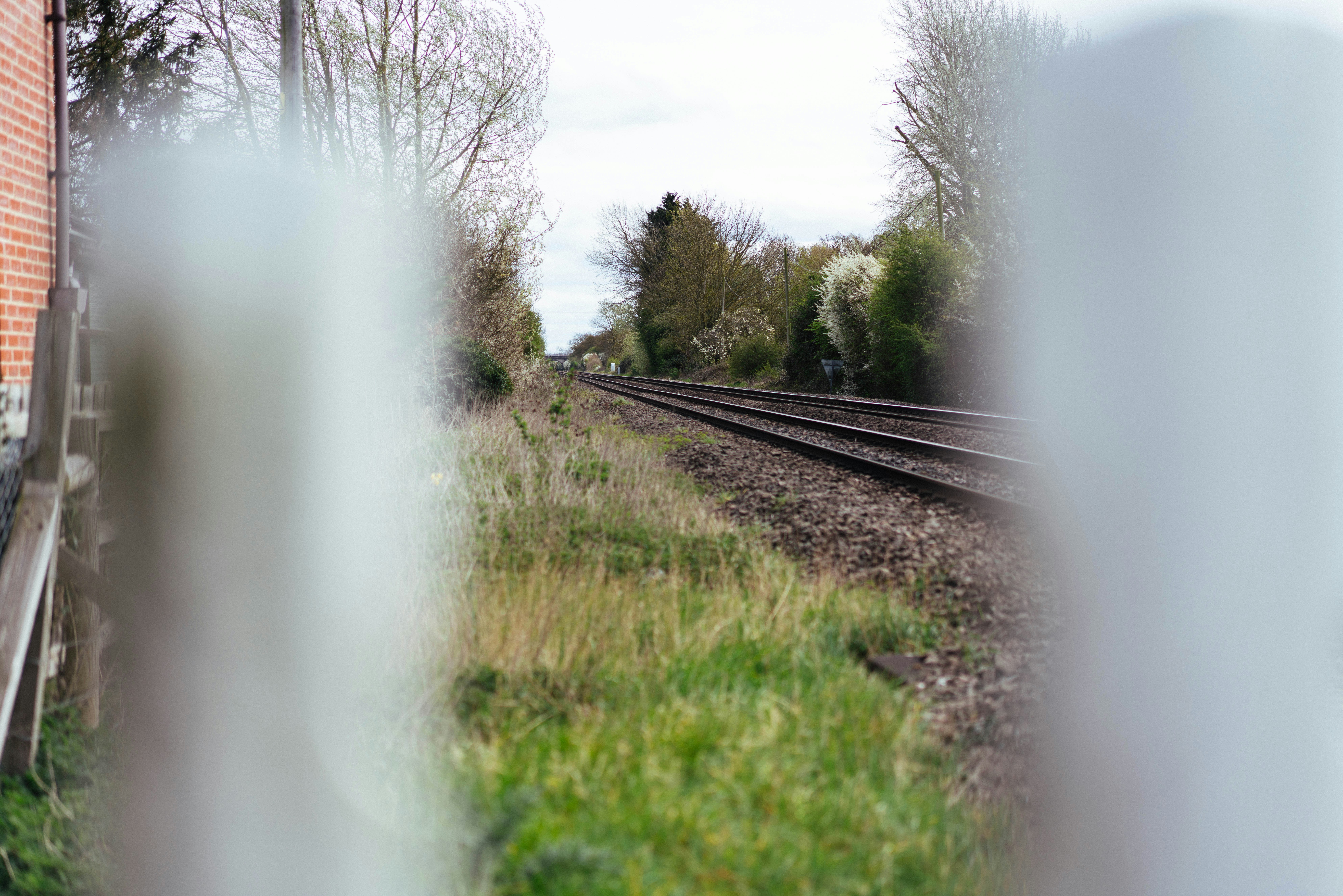Through Glass Between Rails: A Quiet Corridor of Tracks