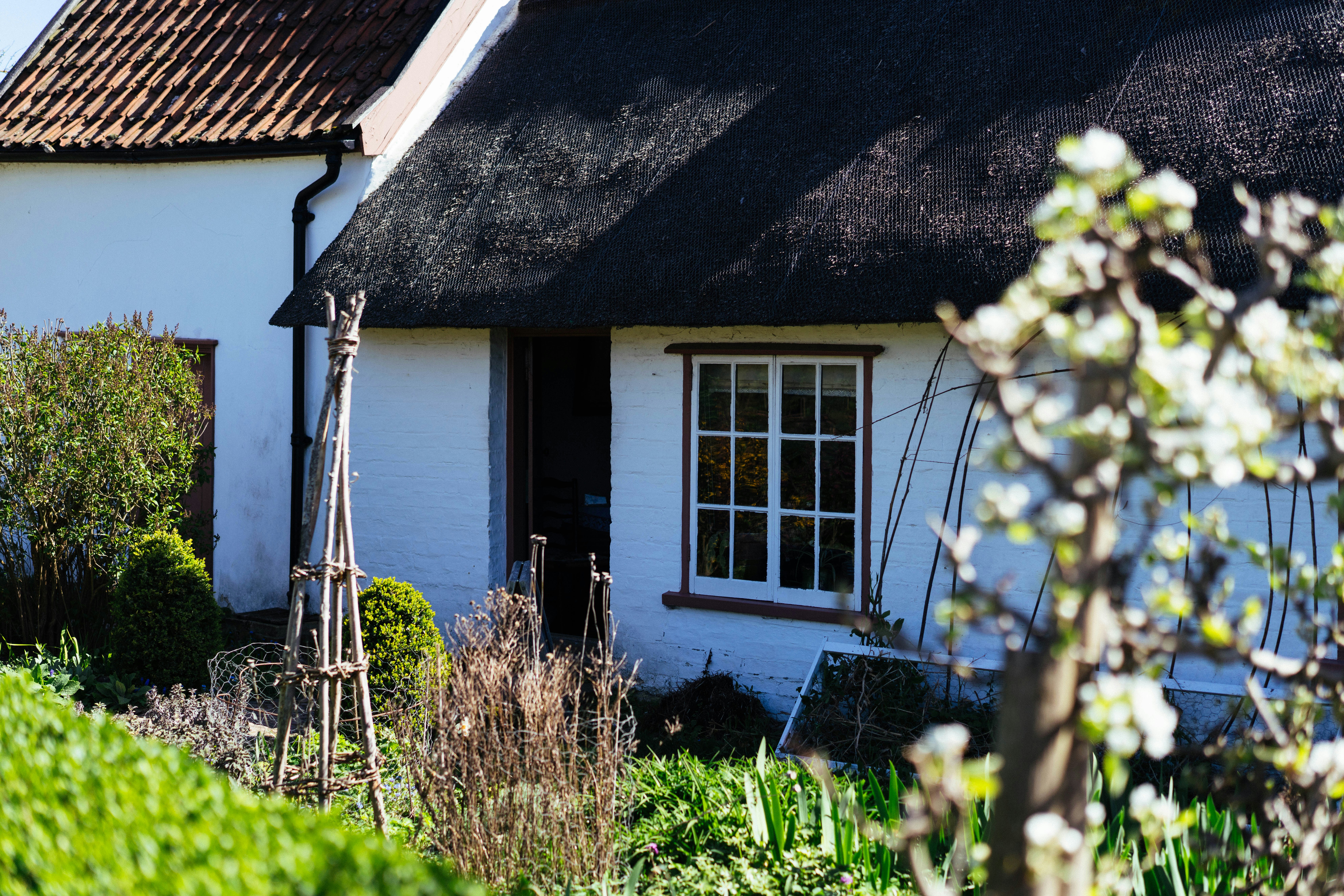 Quiet Cottage in Sunlit Garden