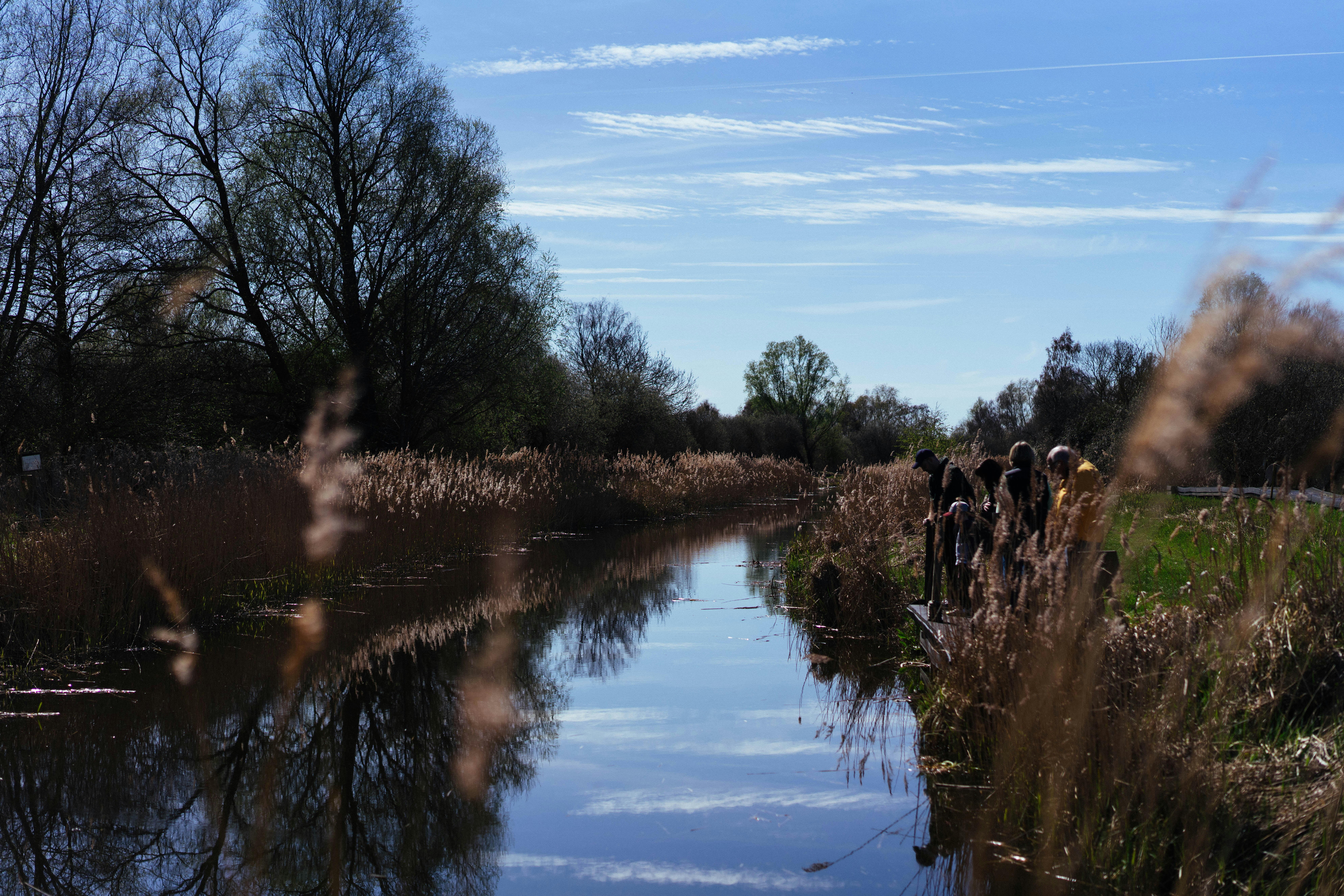 Bankside Reflections: A Serene Canal Scene with Silhouetted Walkers