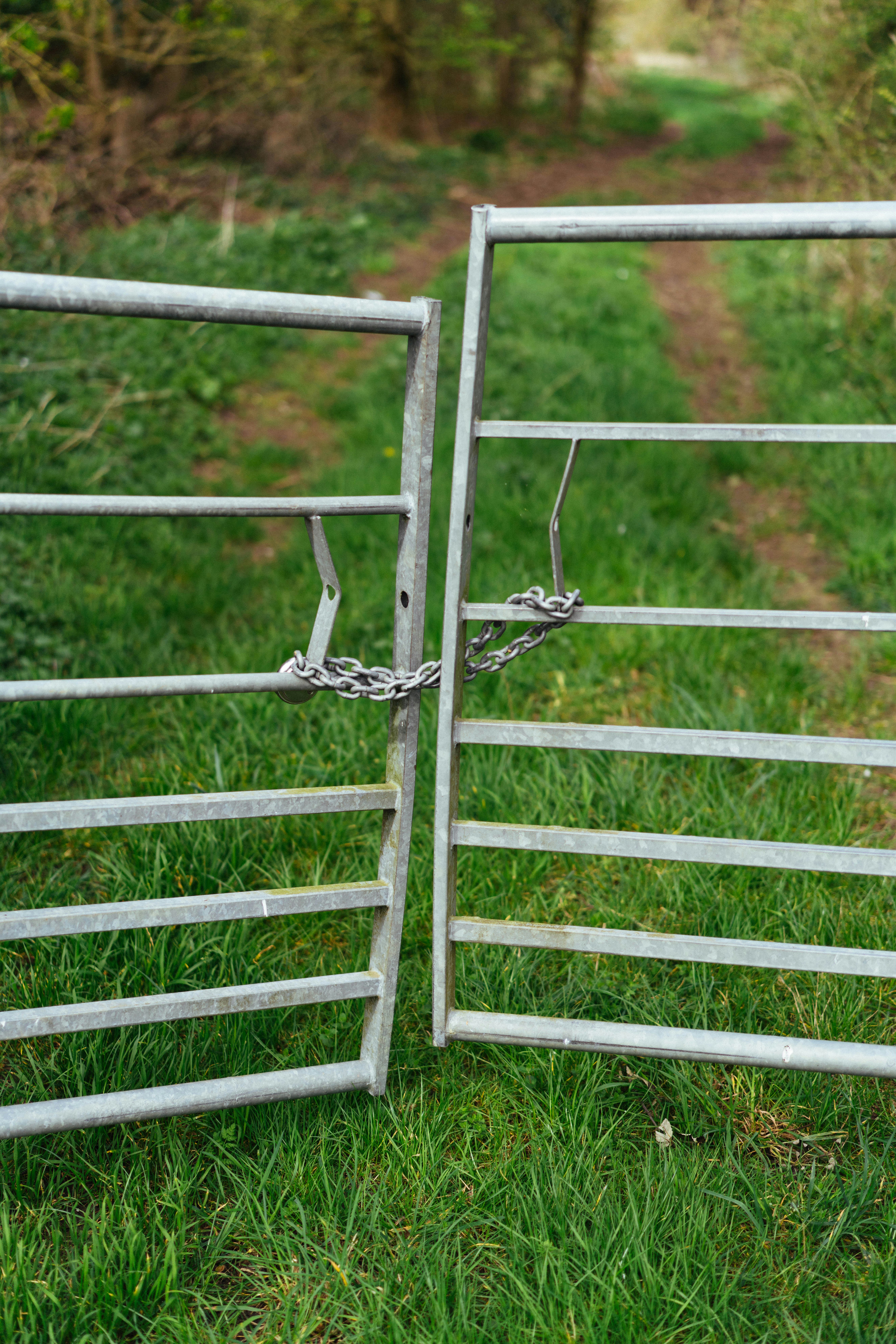 Split Gate: Weathered Metal Bars Framing a Green Path