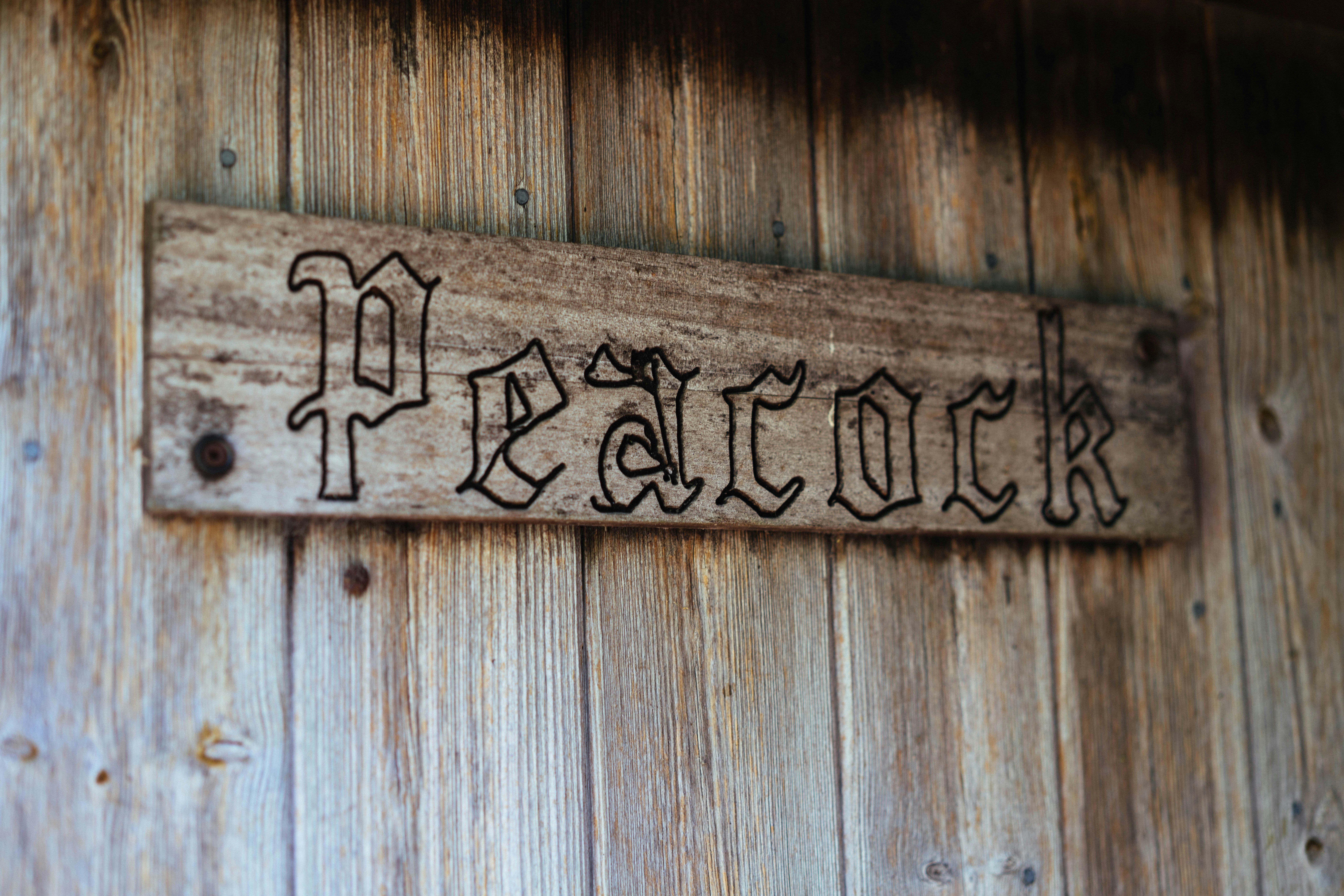 Weathered Wooden Sign: Peac(o)ck Carved in Gothic Script