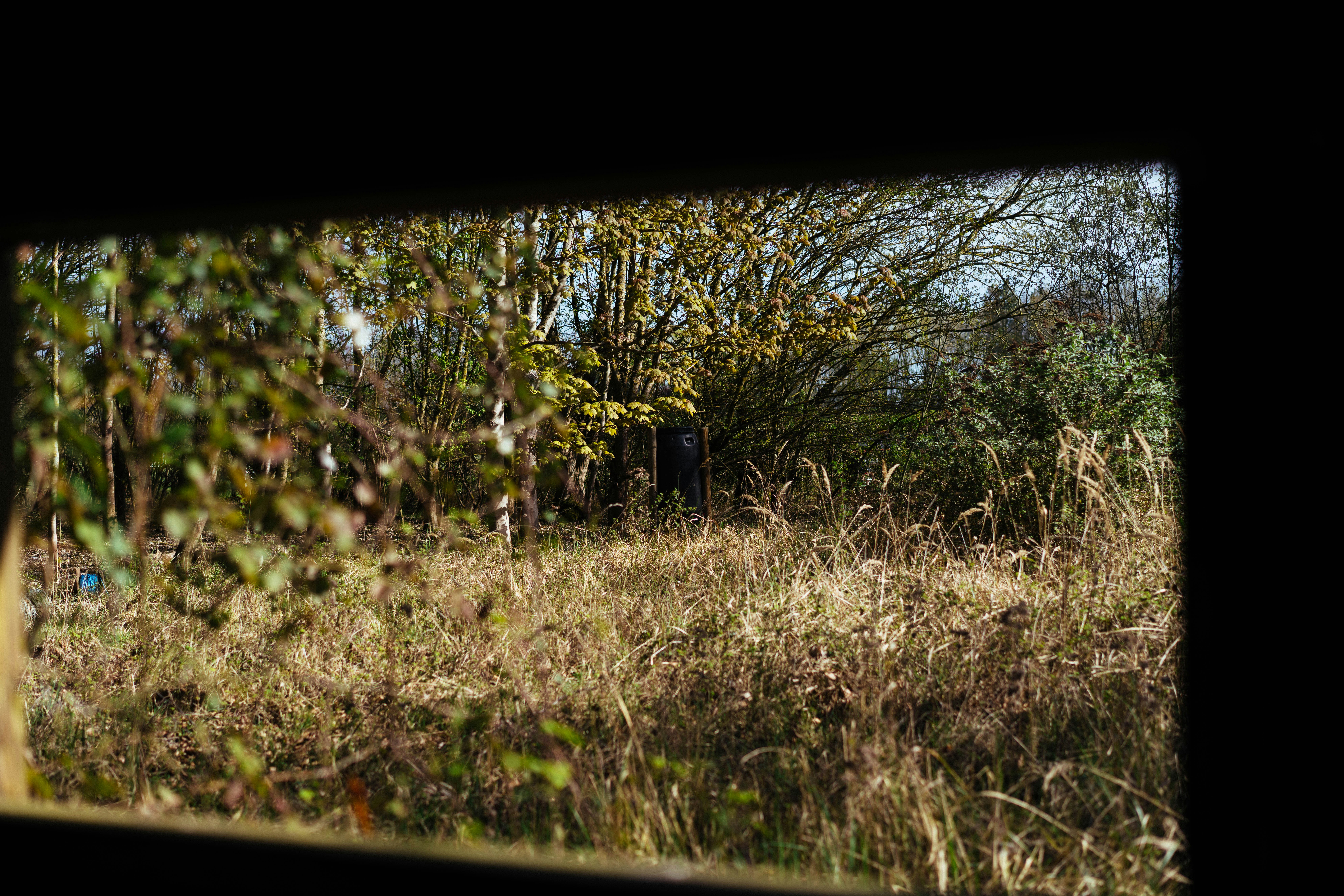 Overgrowth at the Hidden Field