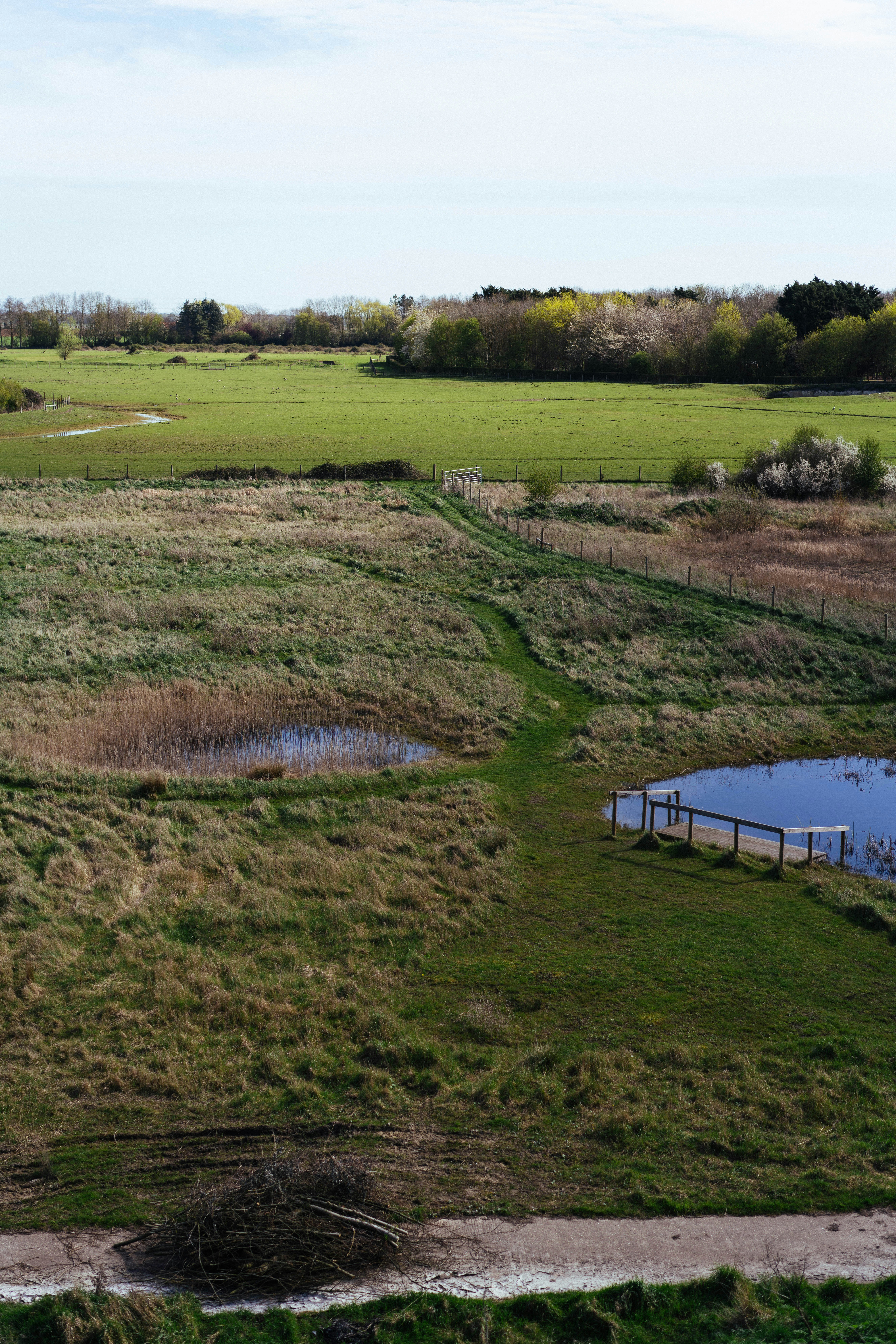 Pastoral Tiers: A Quiet Spill of Water and Green Plains
