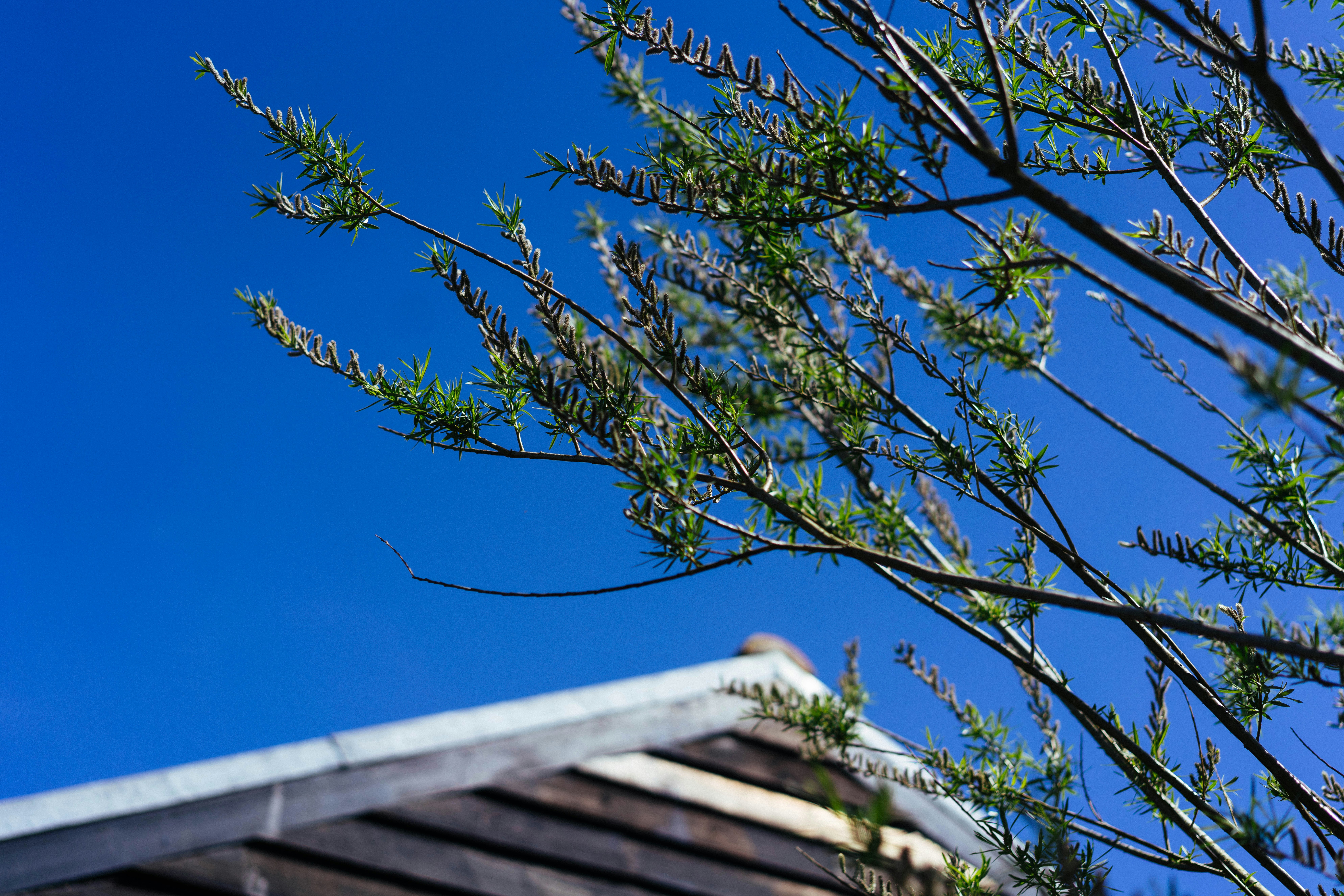 Blue Sky Over a Weathered Roof Edge