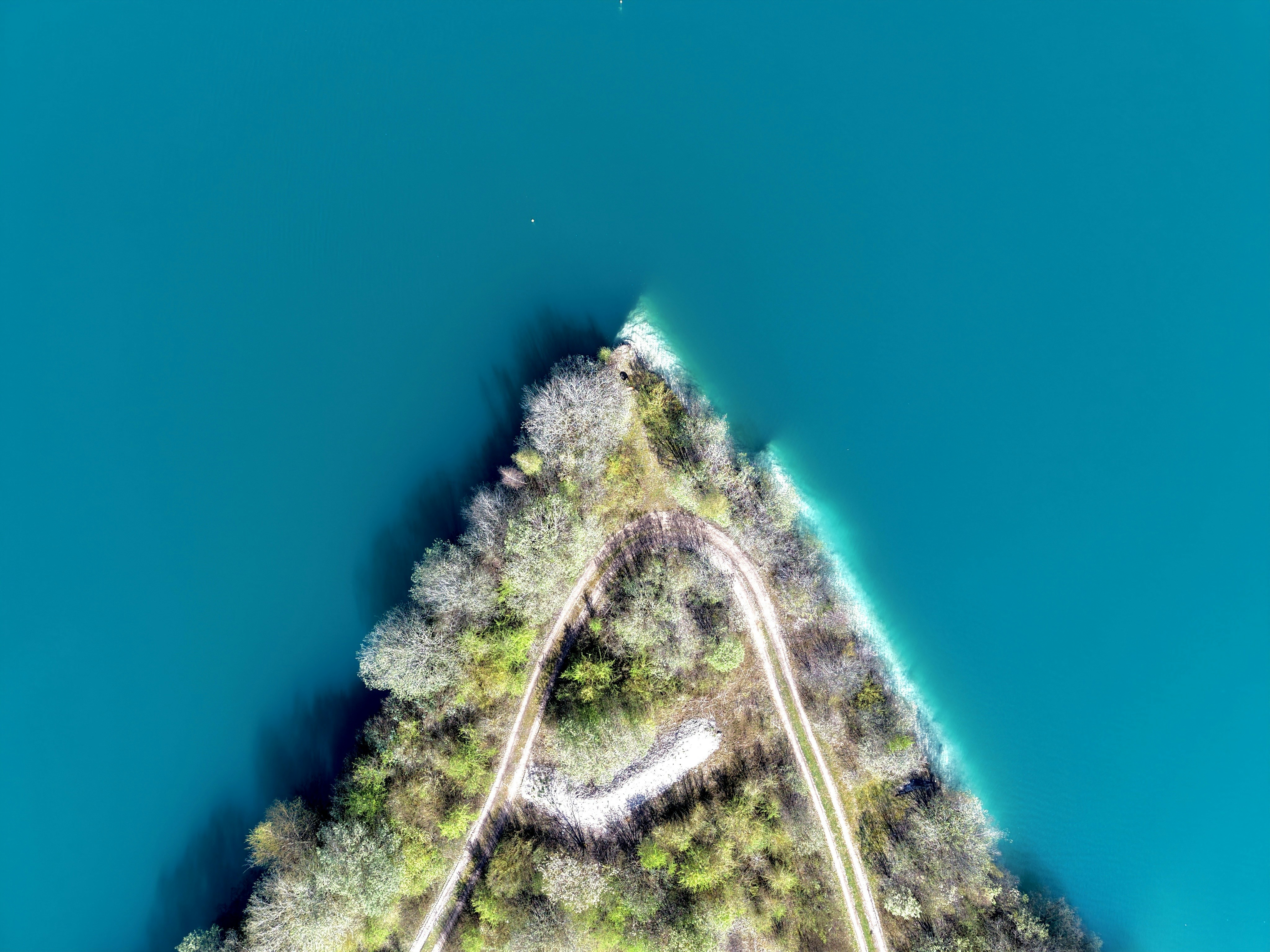 Aerial Confluence: Tree-lined Promontory Carved by a Coastal Channel