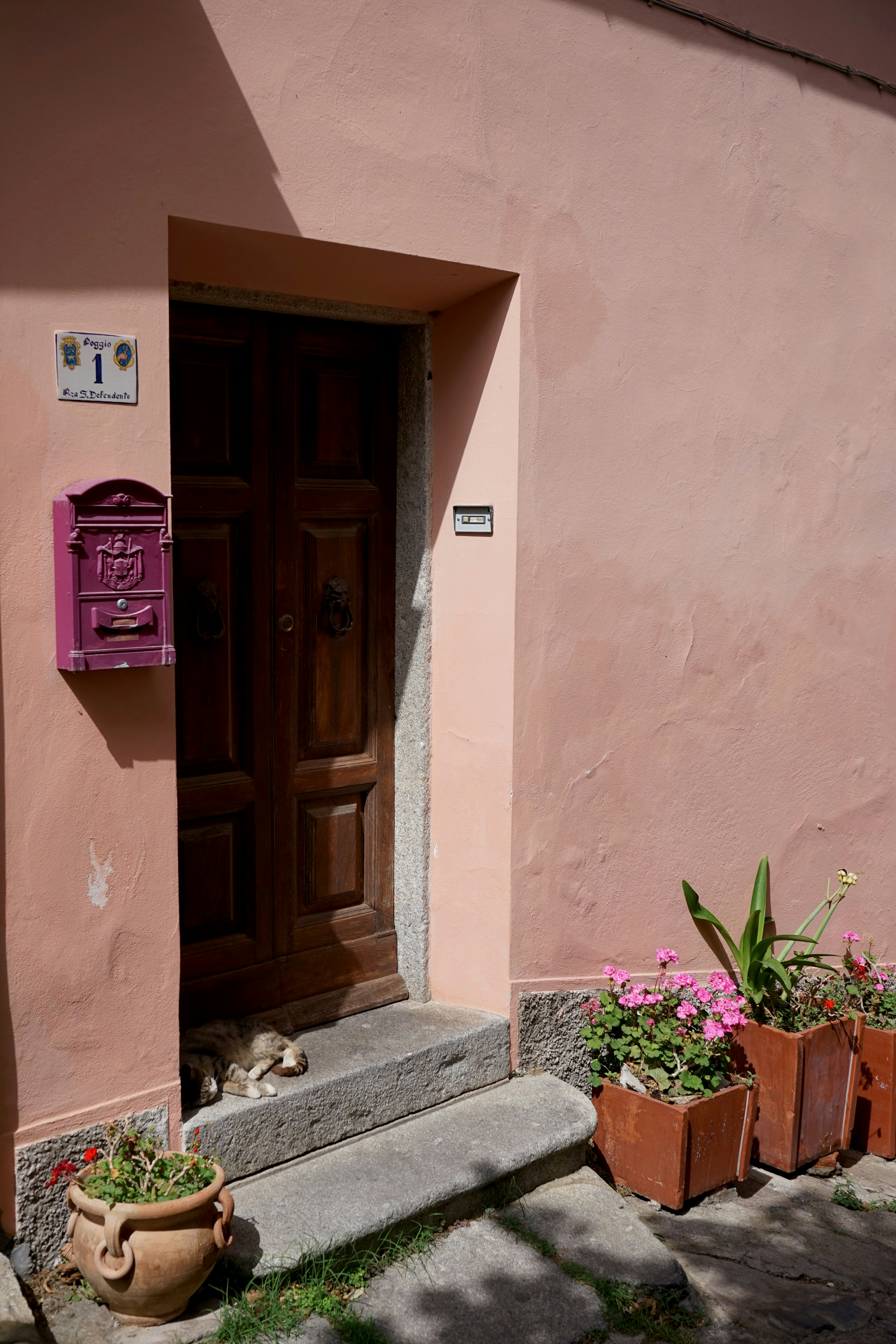 Pink House Entrance with Sleeping Cat on the Step