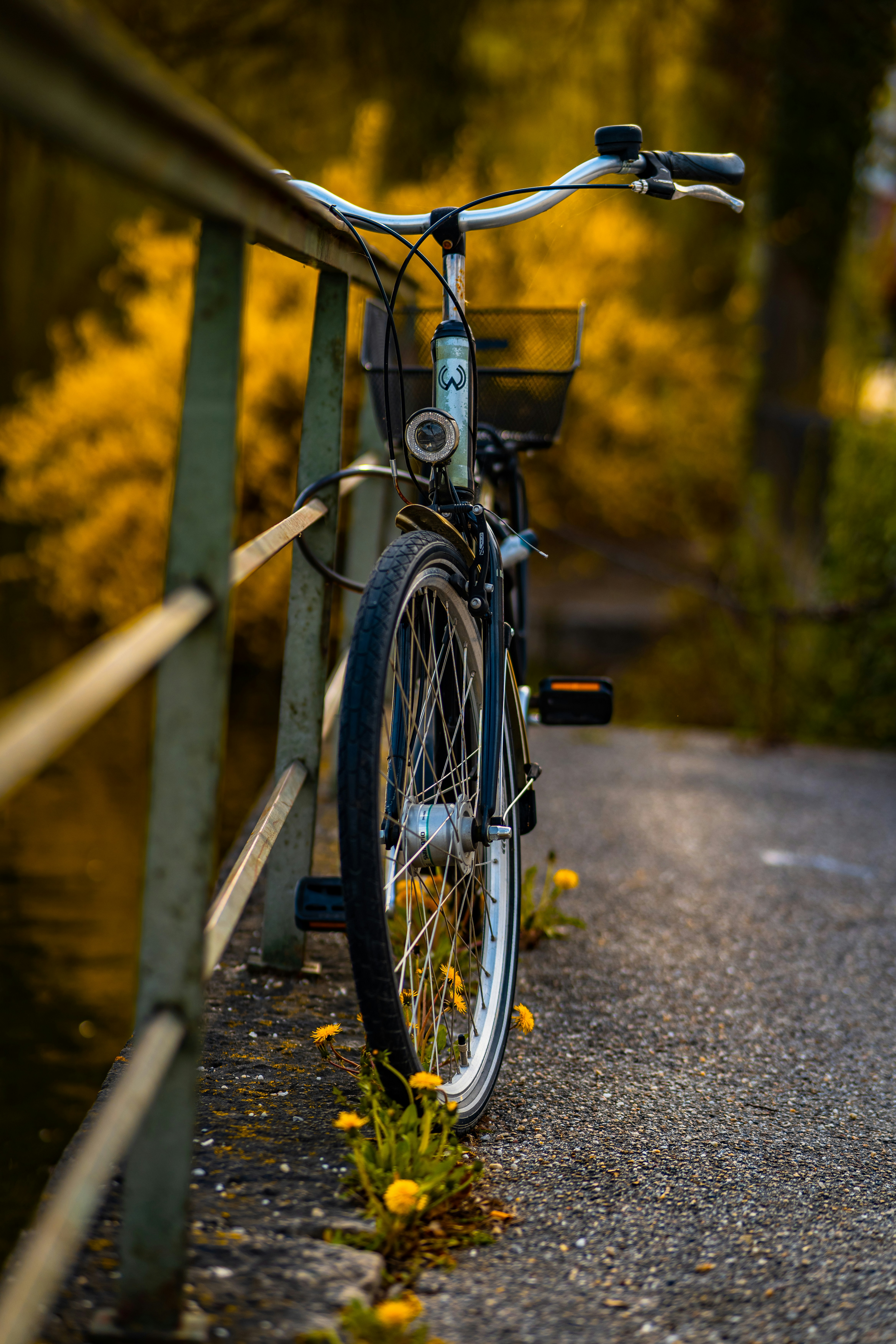 Bicycle on a Quiet Autumn Bridge