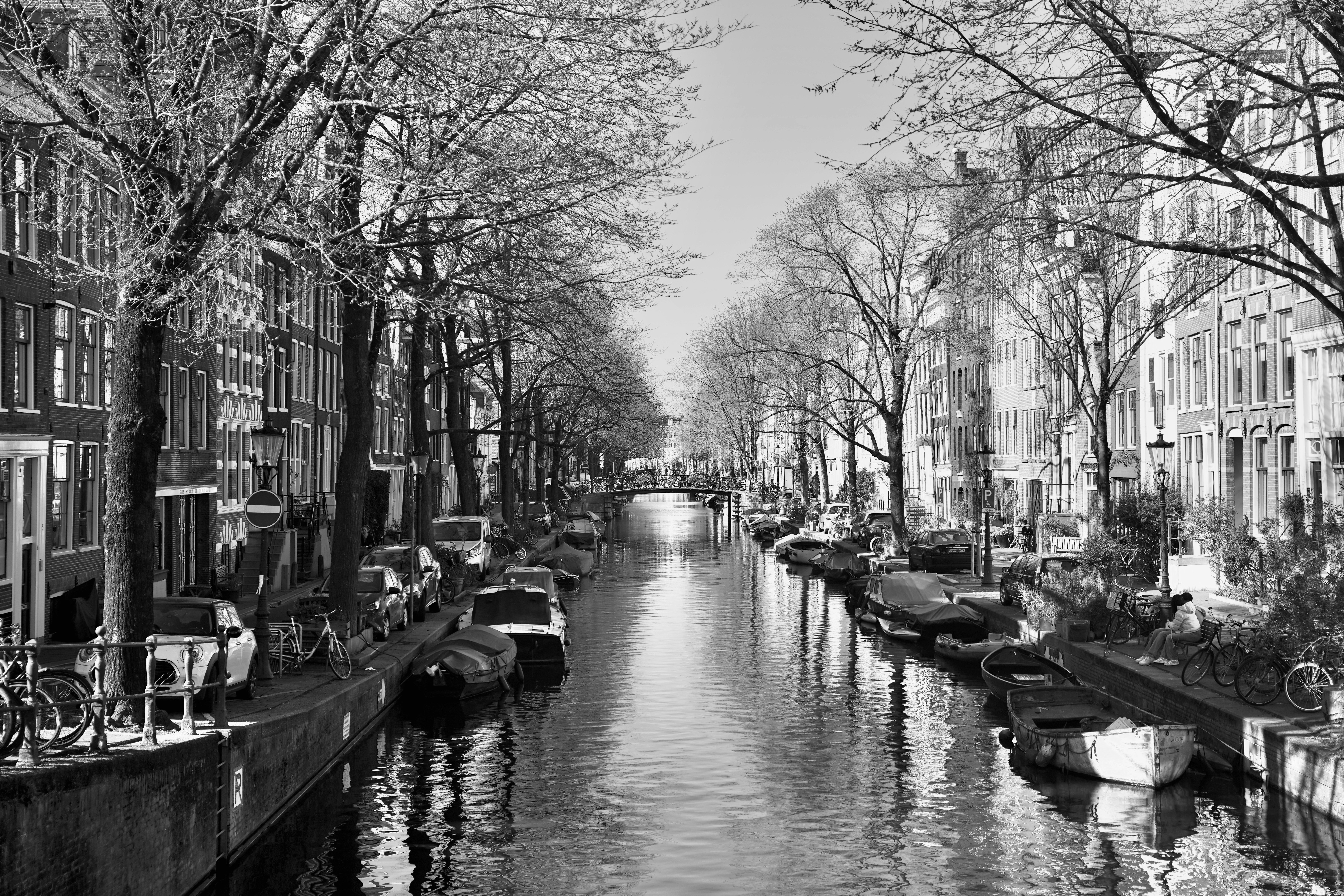 Canal Corridor: Quiet Symmetry Along a Dutch City Channel
