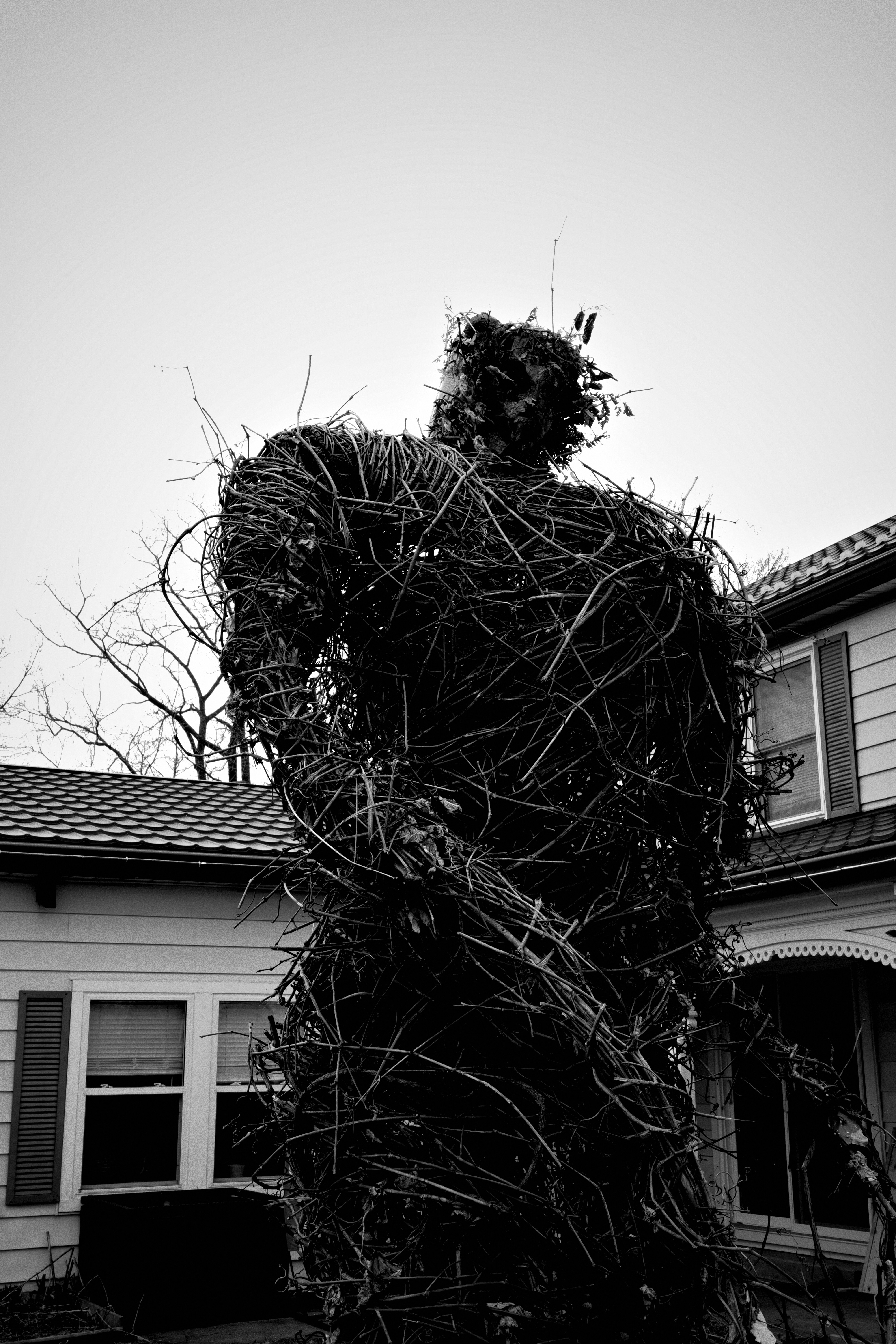 Nest of a Figure: A Tree-Entanglement Embraces Suburban Facade