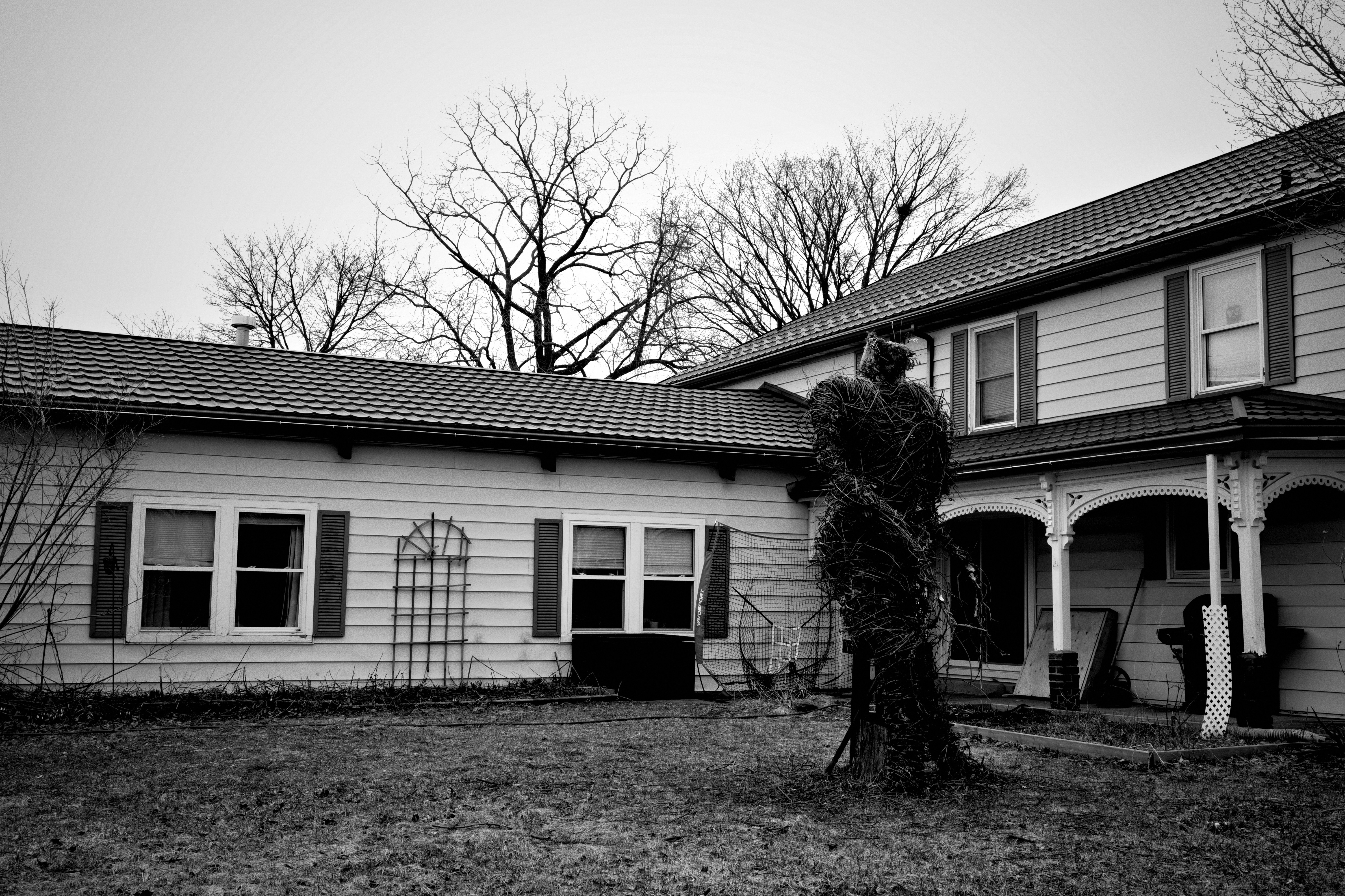 House in the Wind-Tossed Yard