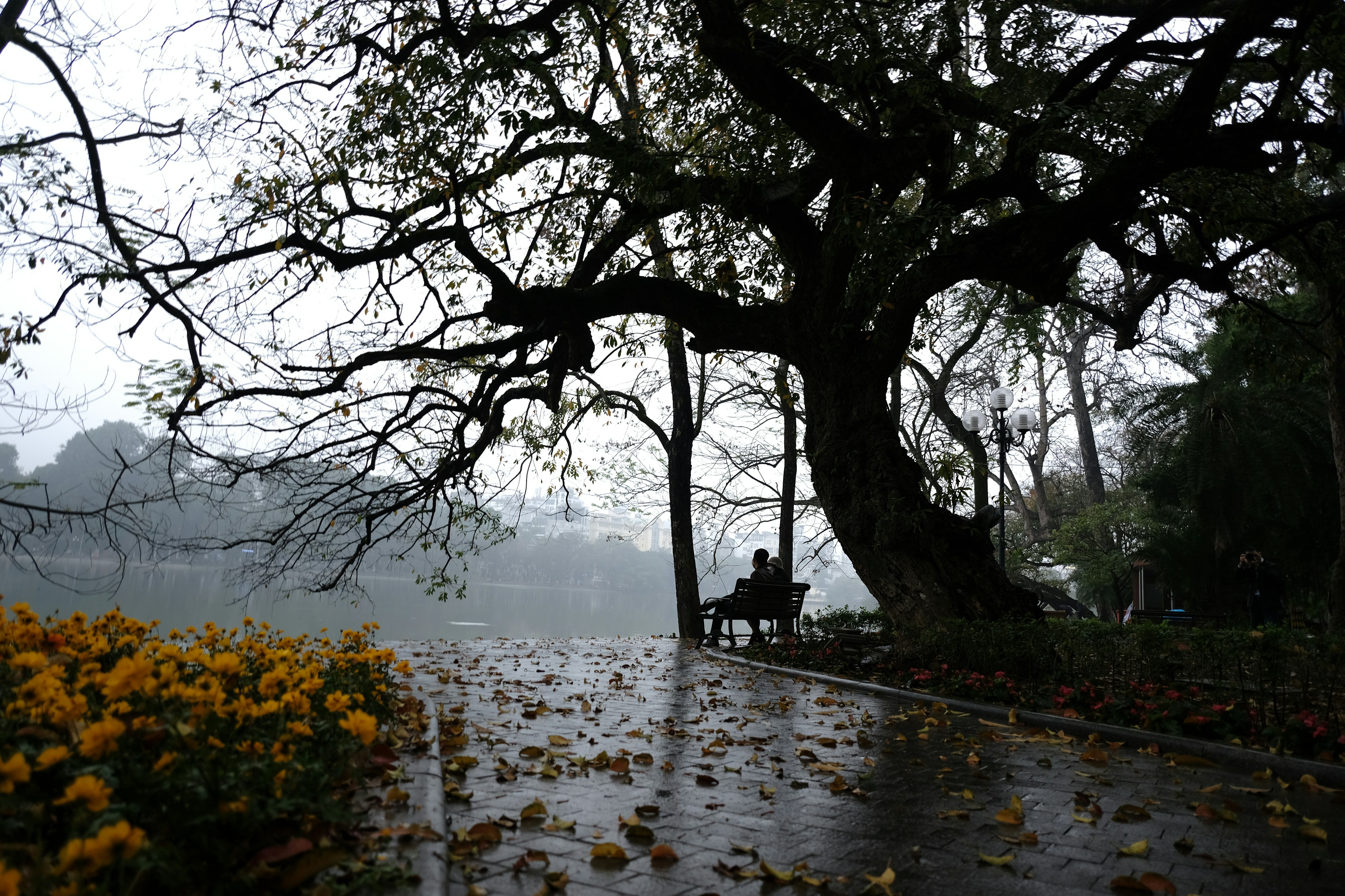 Autumn Quiet Along the Lakefront