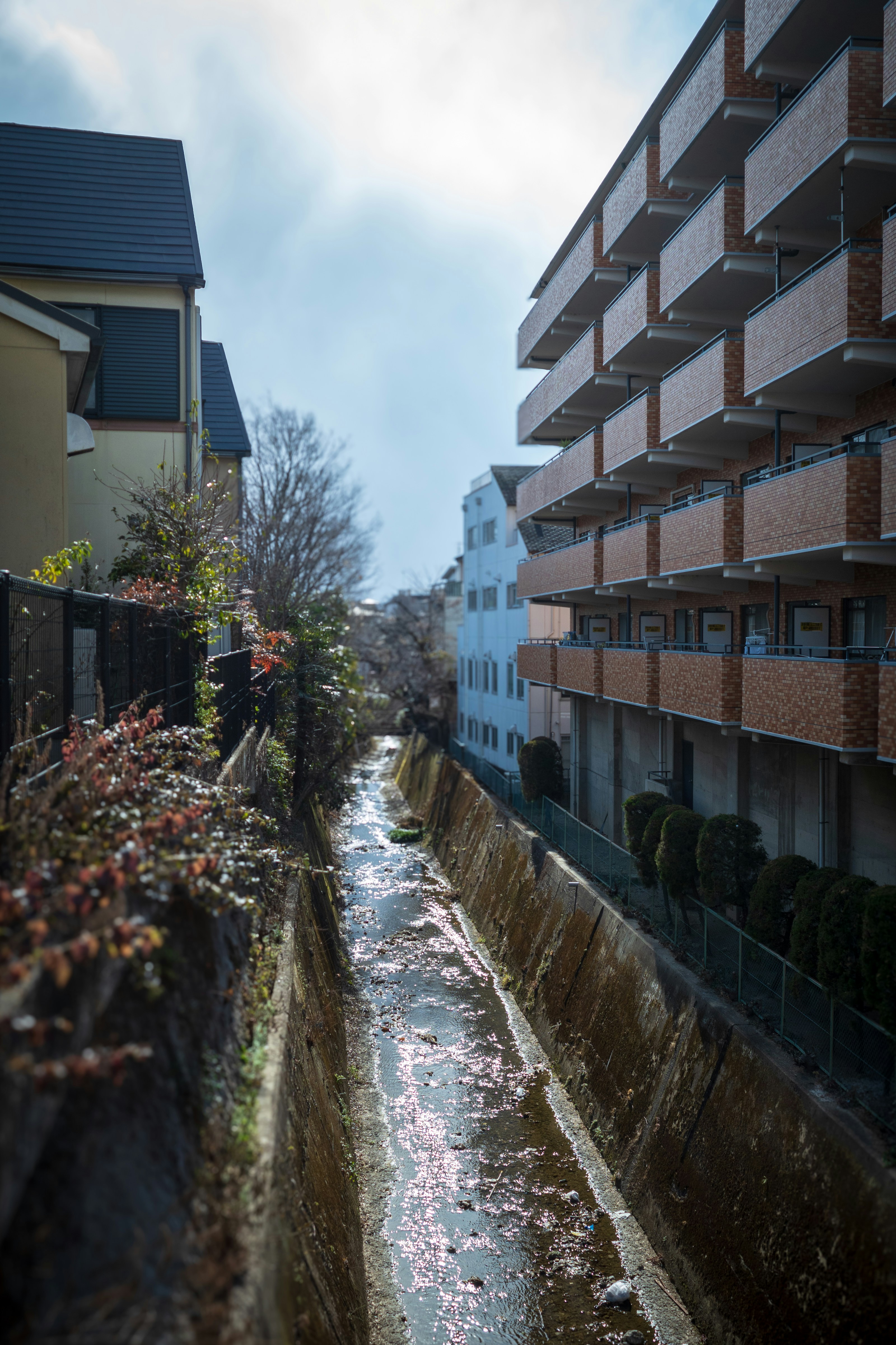 Urban Canal Corridor Between Balconied Towers