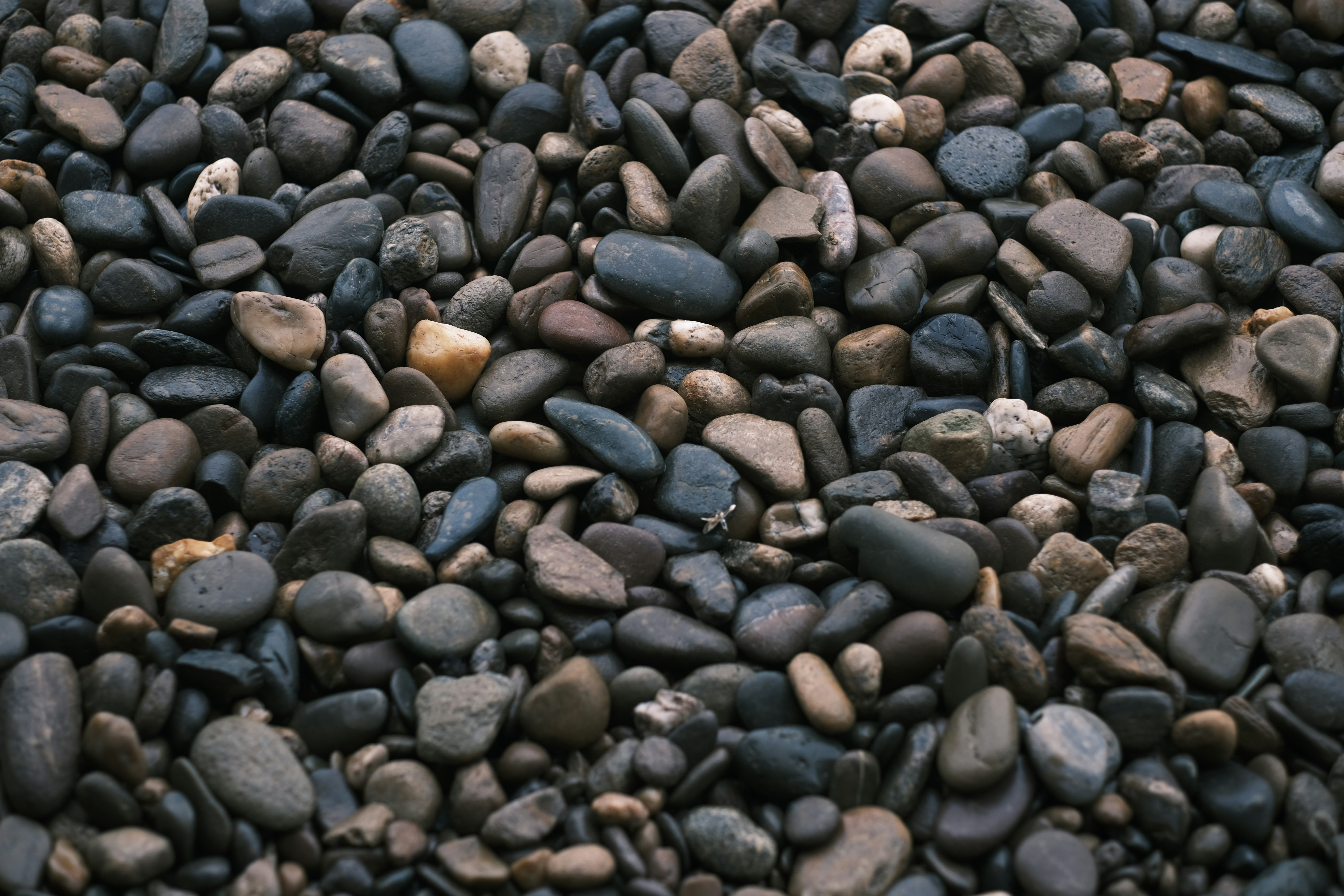 Pebble Mosaic: A Quiet Bed of River Stones