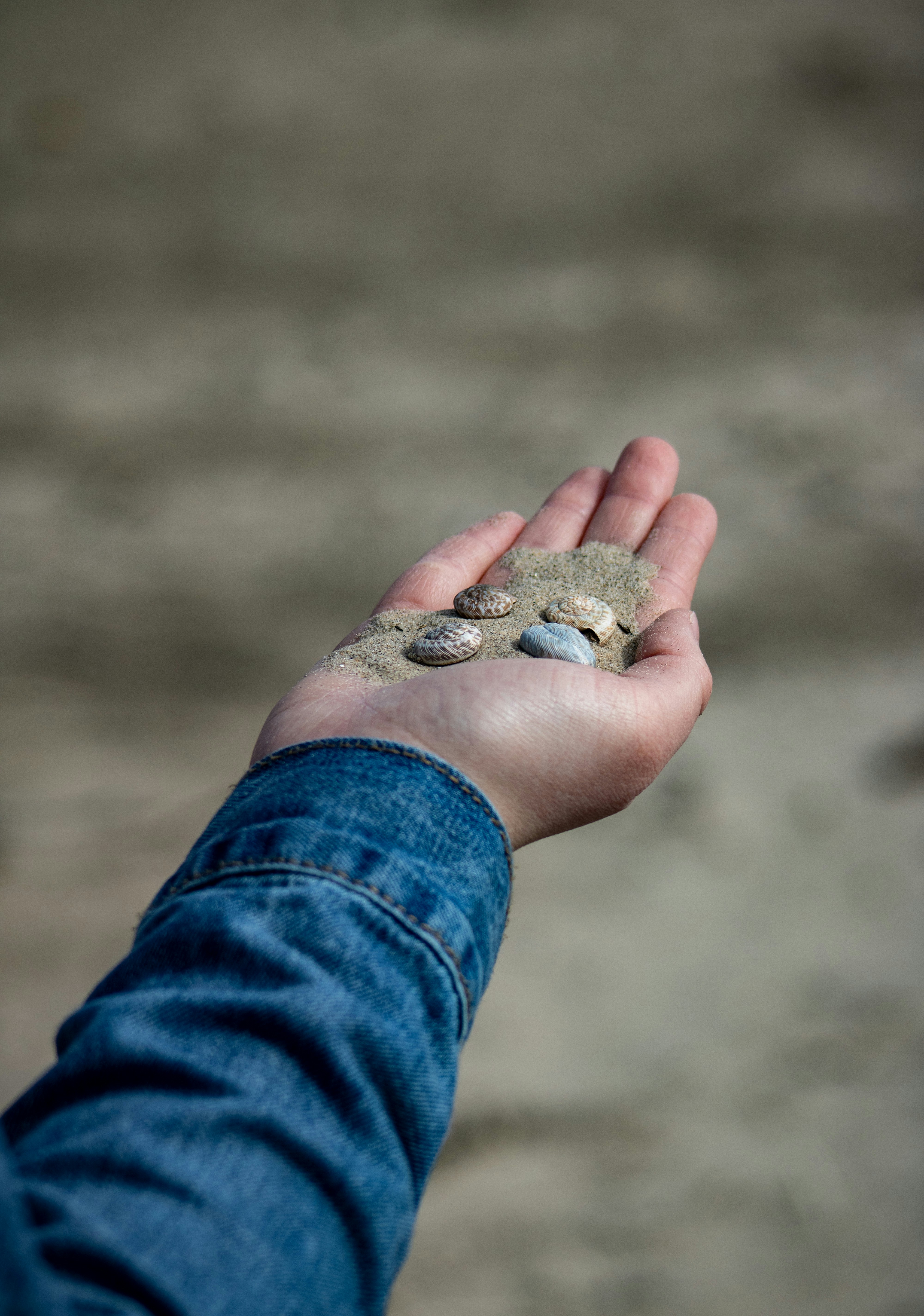 A Handful of Beach Treasures: Pebbles Resting on a Denim-Sleeved Palm