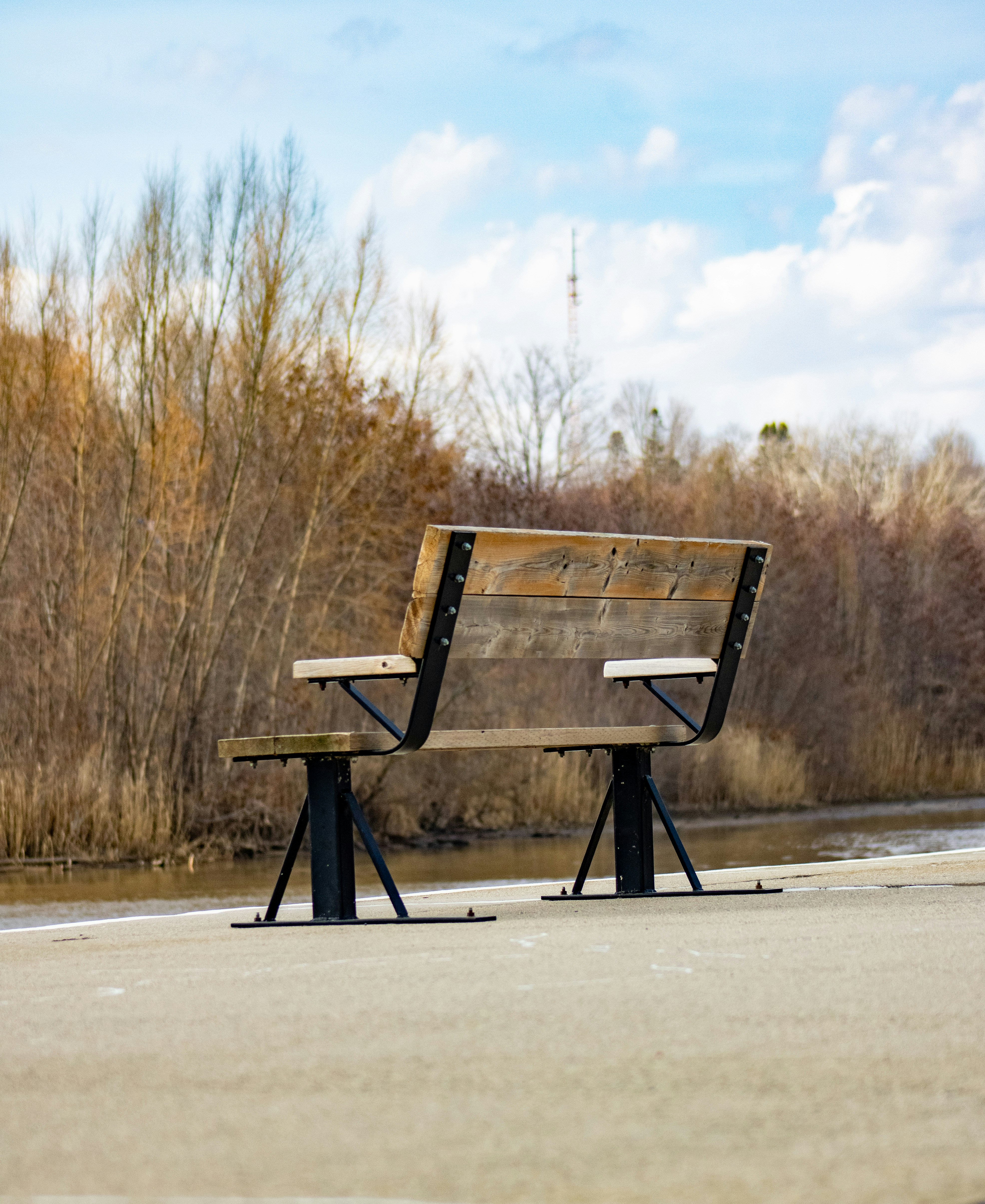 Lonely Bench Overlooking a Bare-branched Riverbank