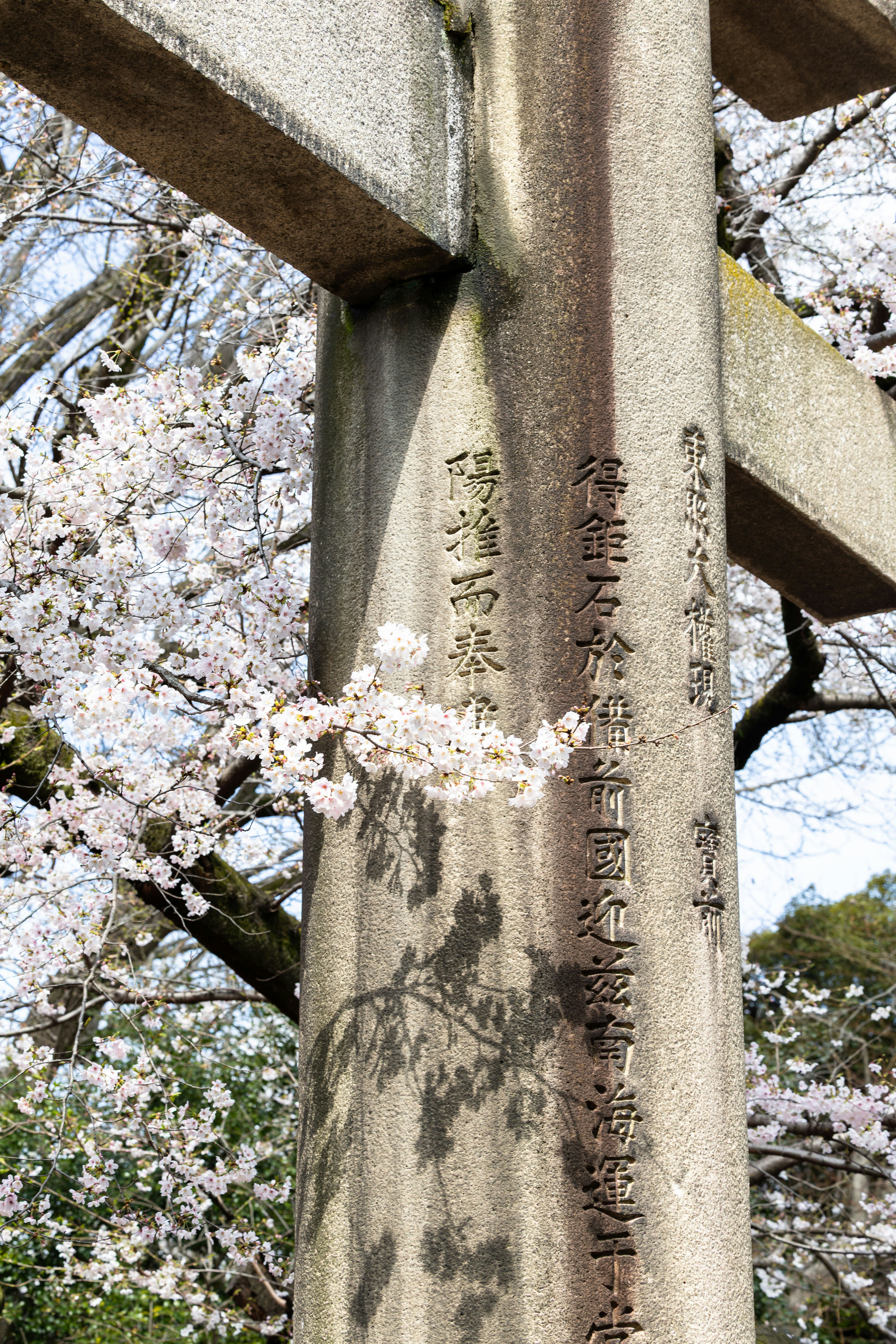Cherry Blossoms Framing a Kanji Obelisk