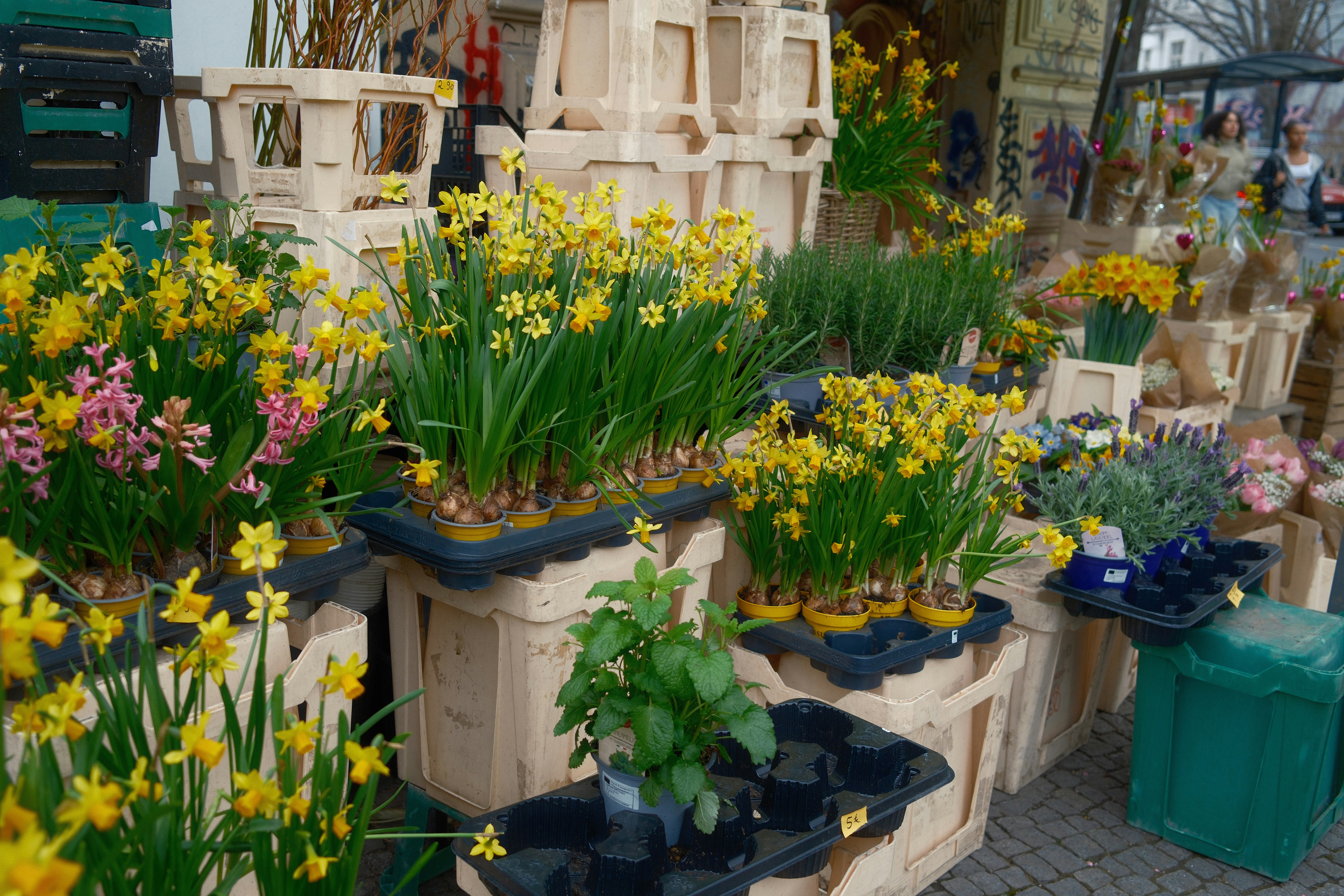 Colorful Nurseries on a Cobblestone Street