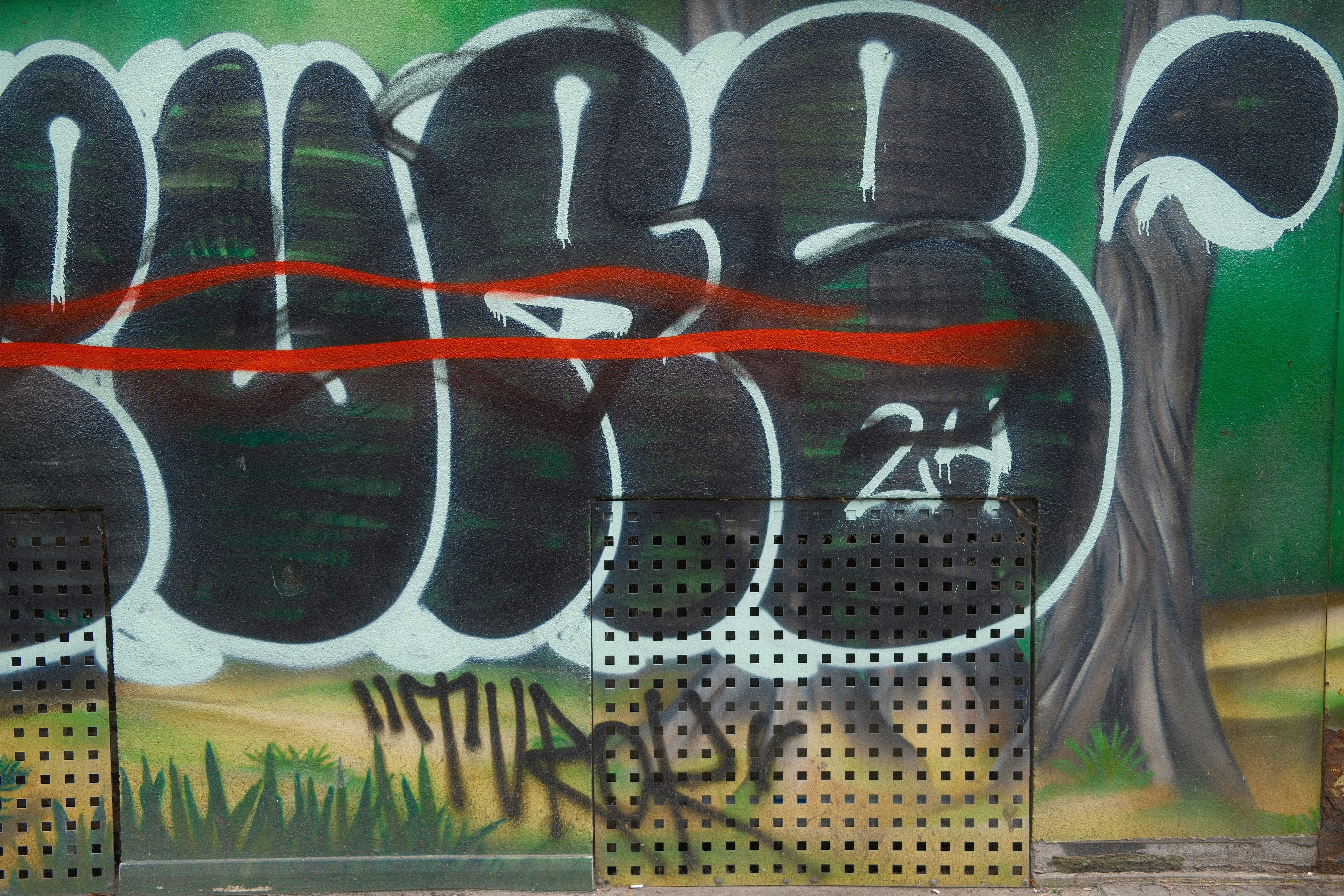 Graffiti Canvas: Bold Lettering Across a Green-Wold Wall