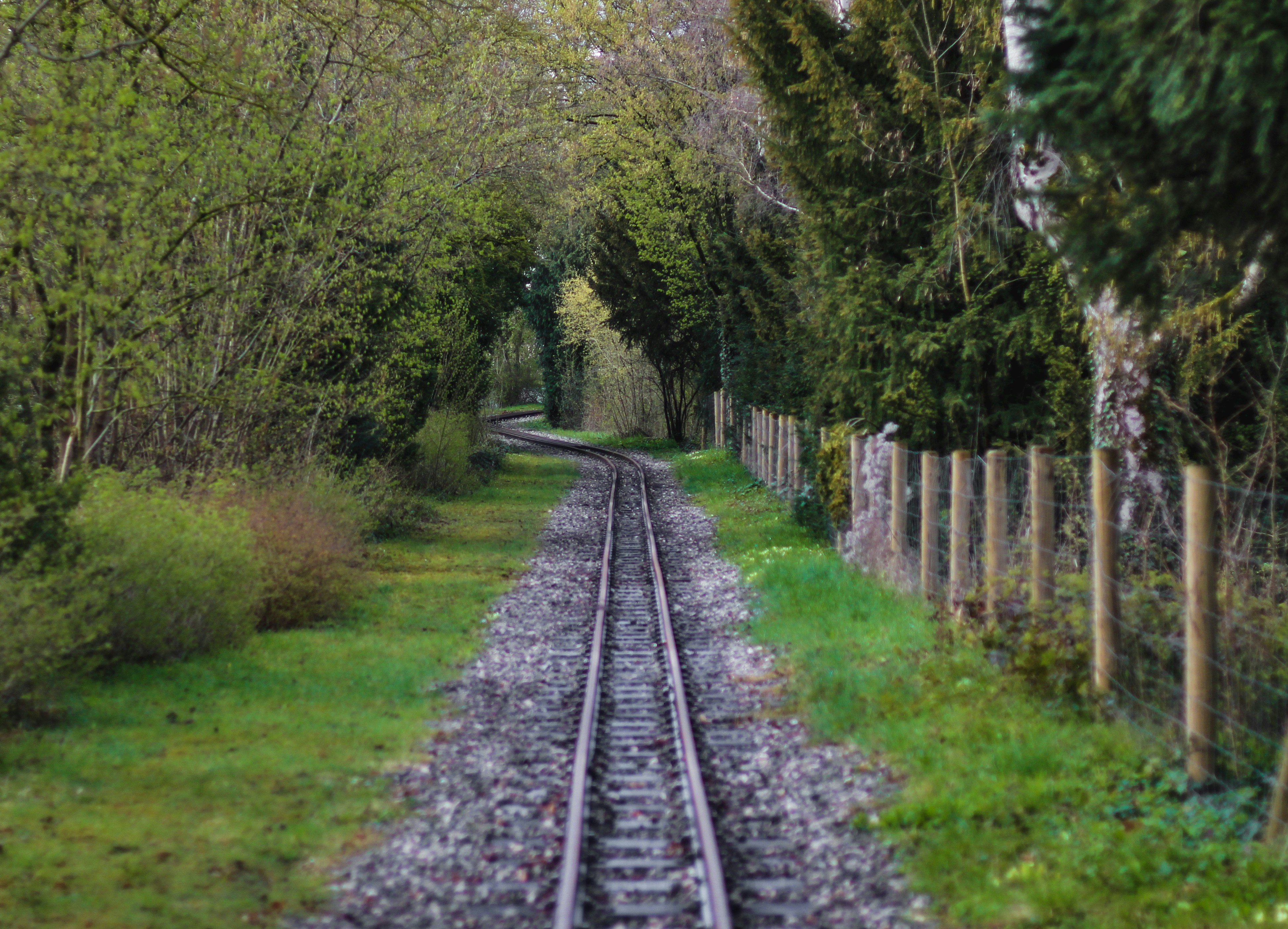 Railway Through a Quiet Green Corridor