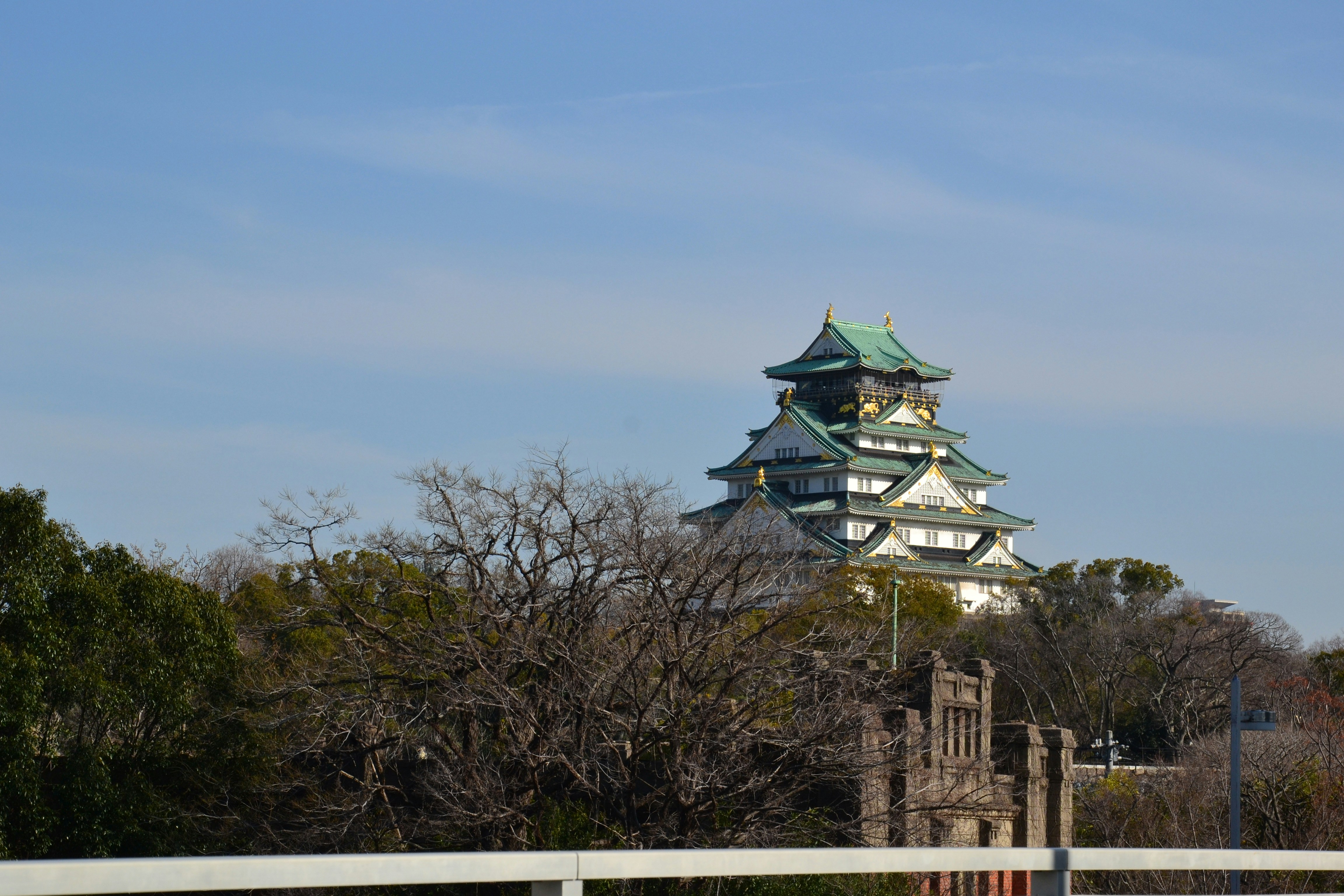 Castle on the Hill: A Japanese fortress peeking over winter treeline