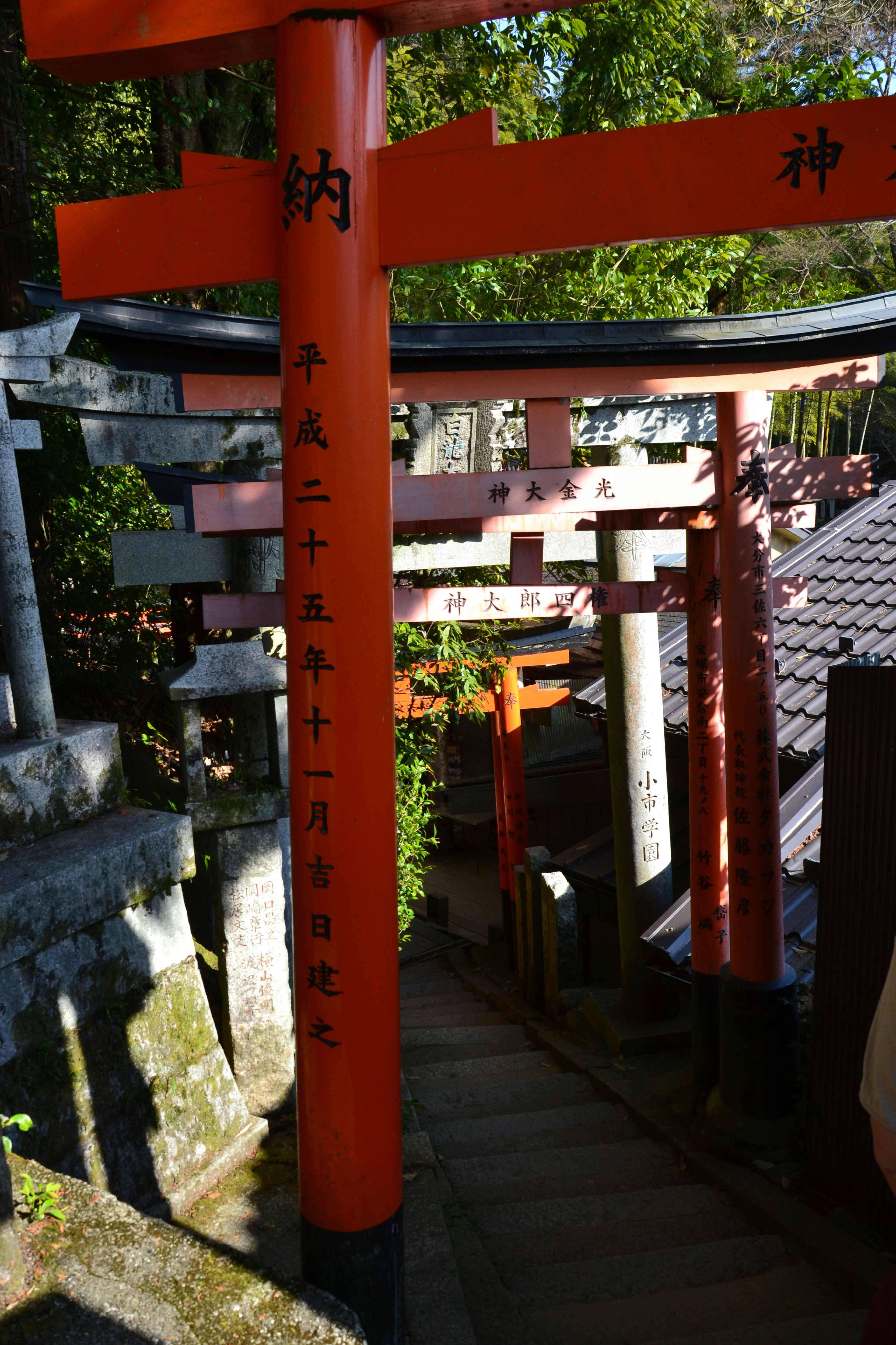 Red Gate Cascades: A Serpentine Path Through Torii