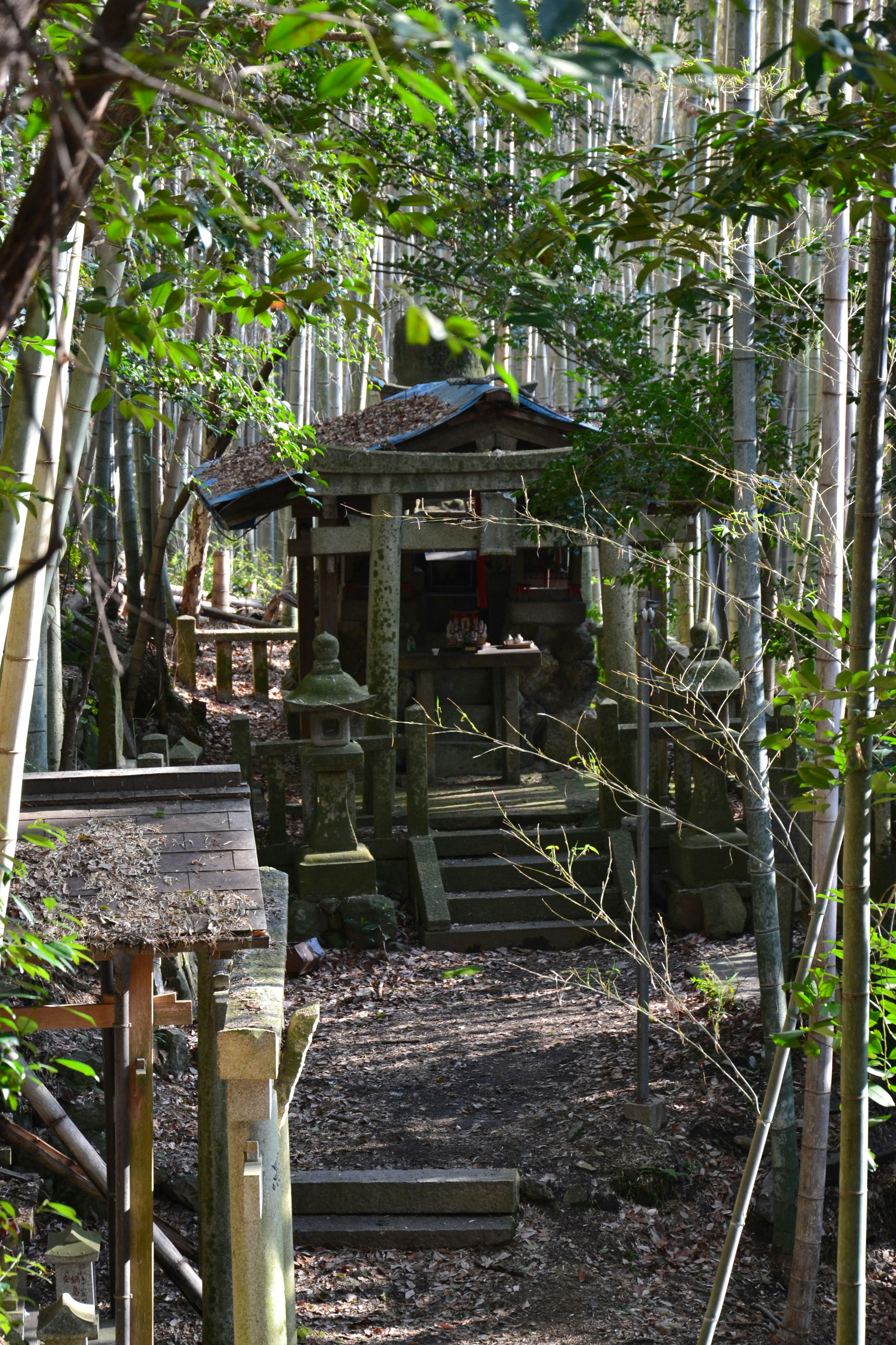 Serene Shrine Among Whispering Bamboo