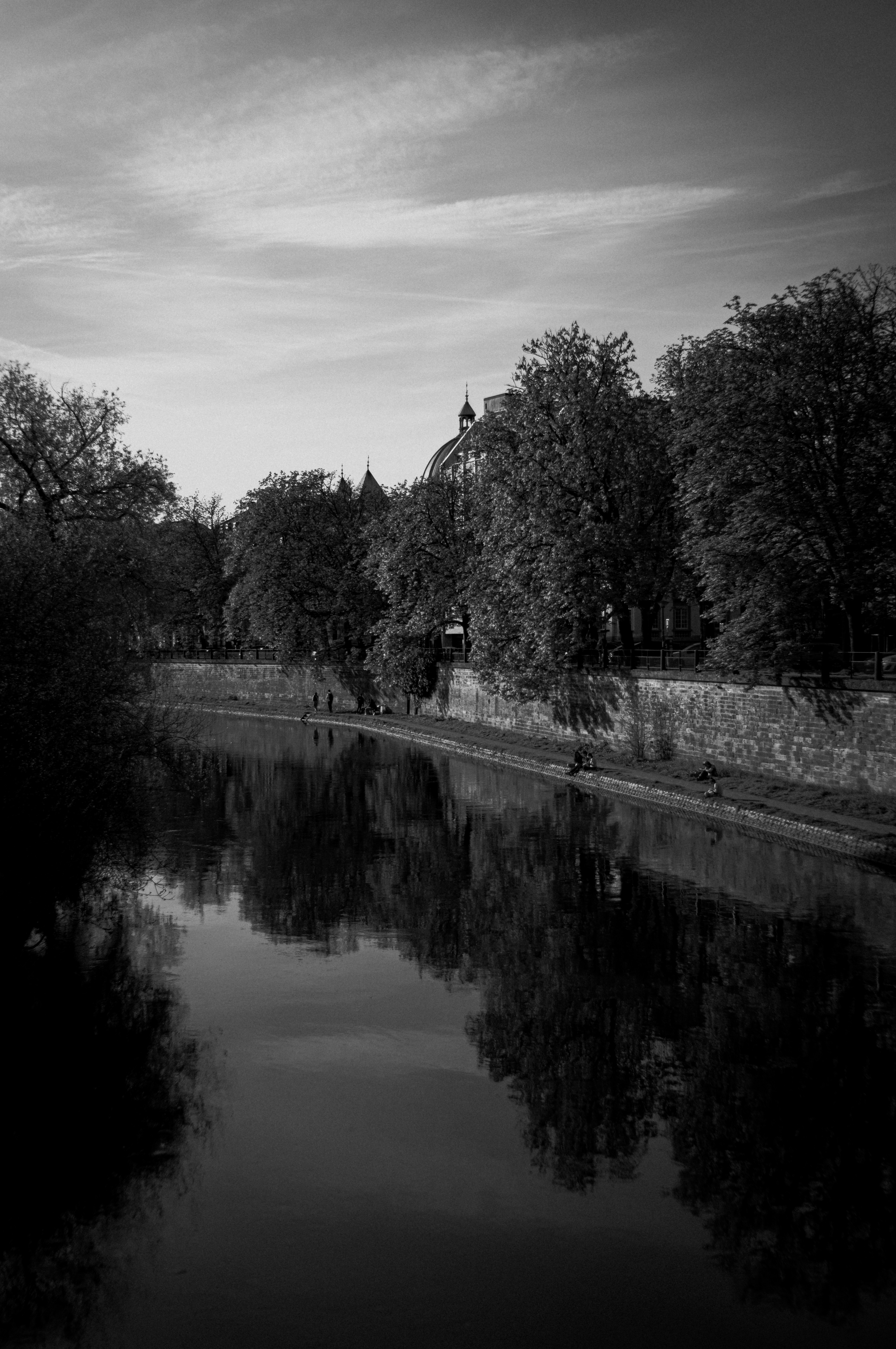 Whispering Riverbank: Trees, Stone, and Sky in Monochrome