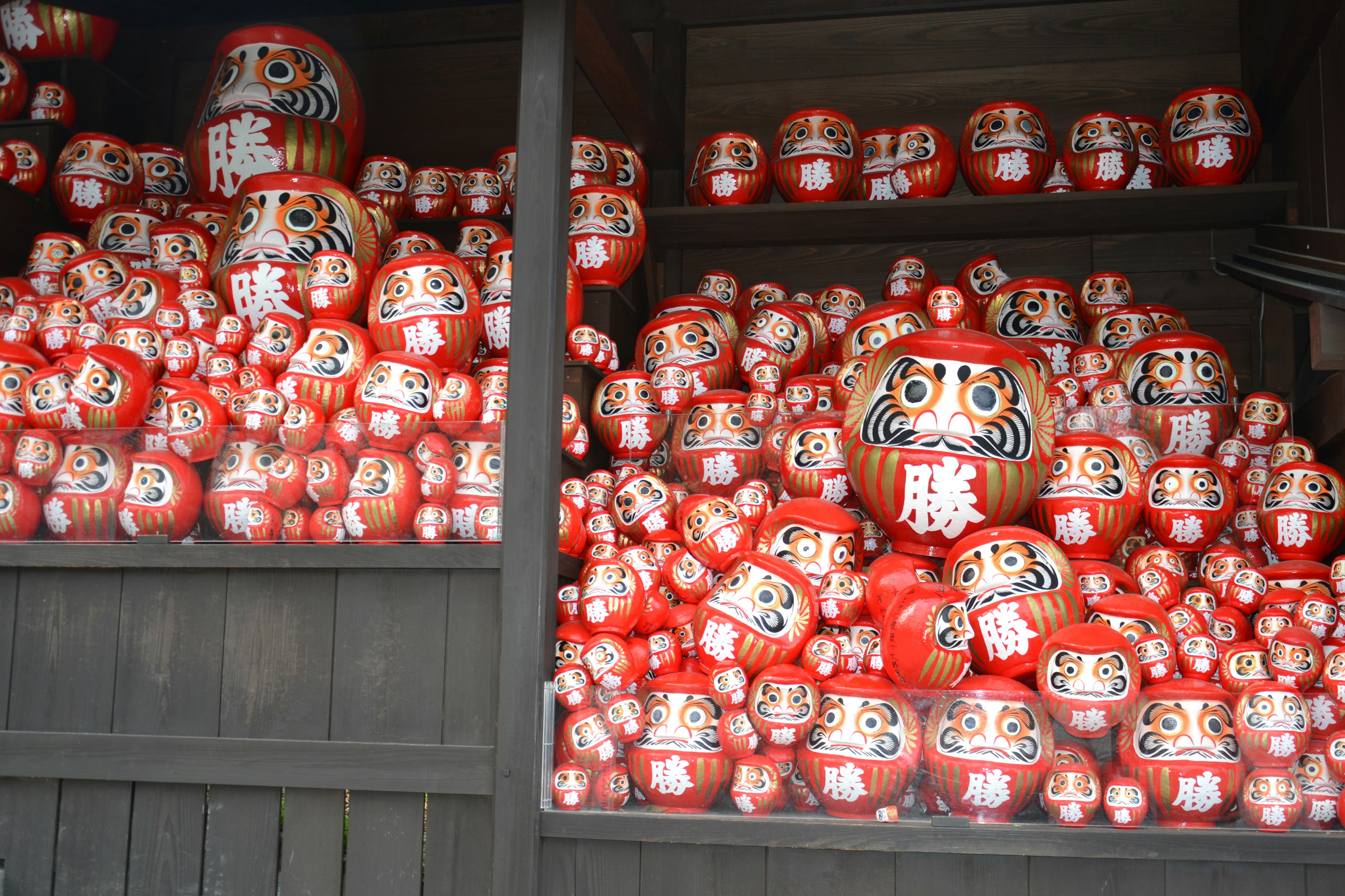 Kitsune of Cerulean Rows: Daruma Faces in a Wooden Alcove