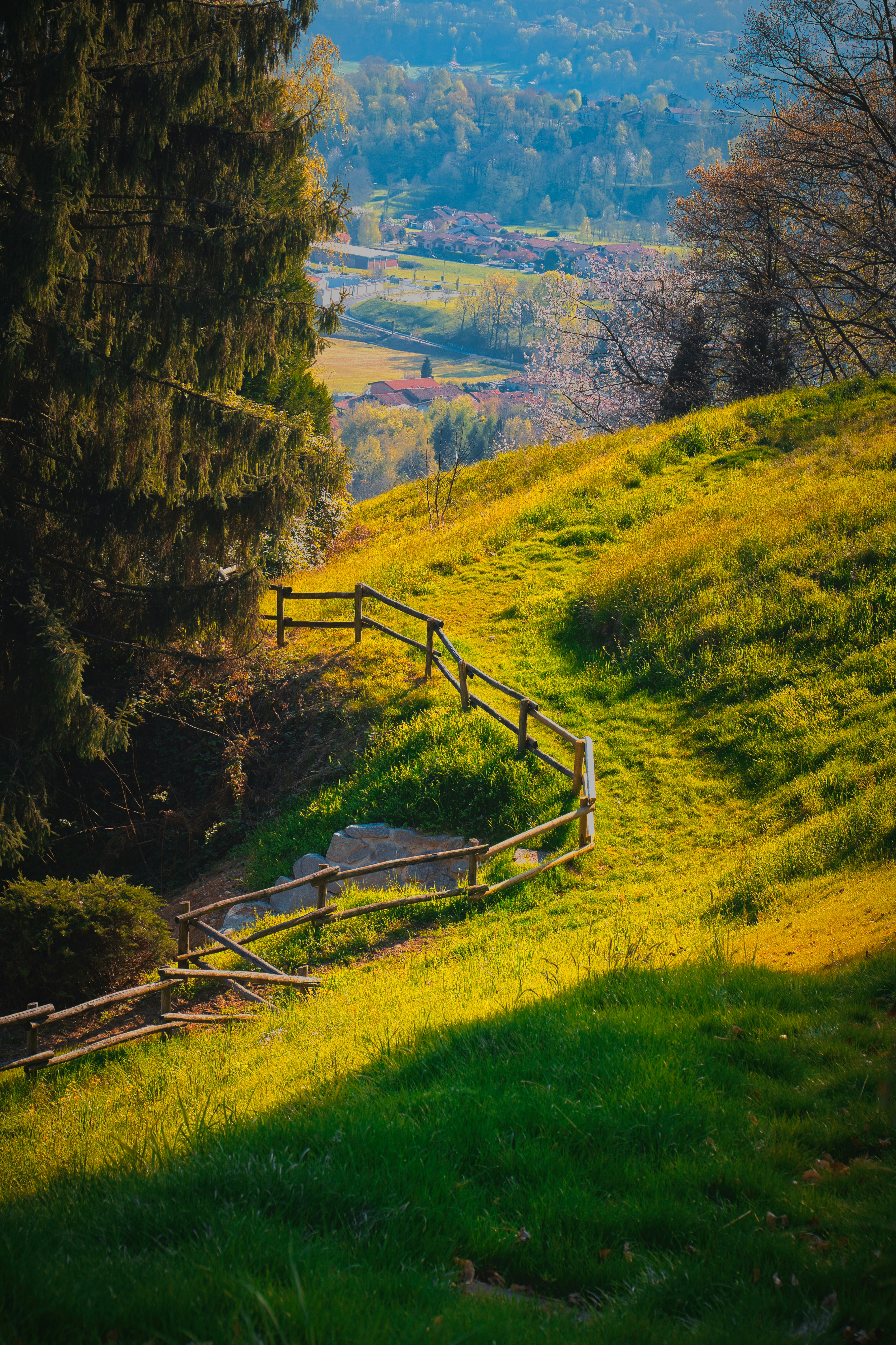 Sunlit hillside path curling toward a quiet valley