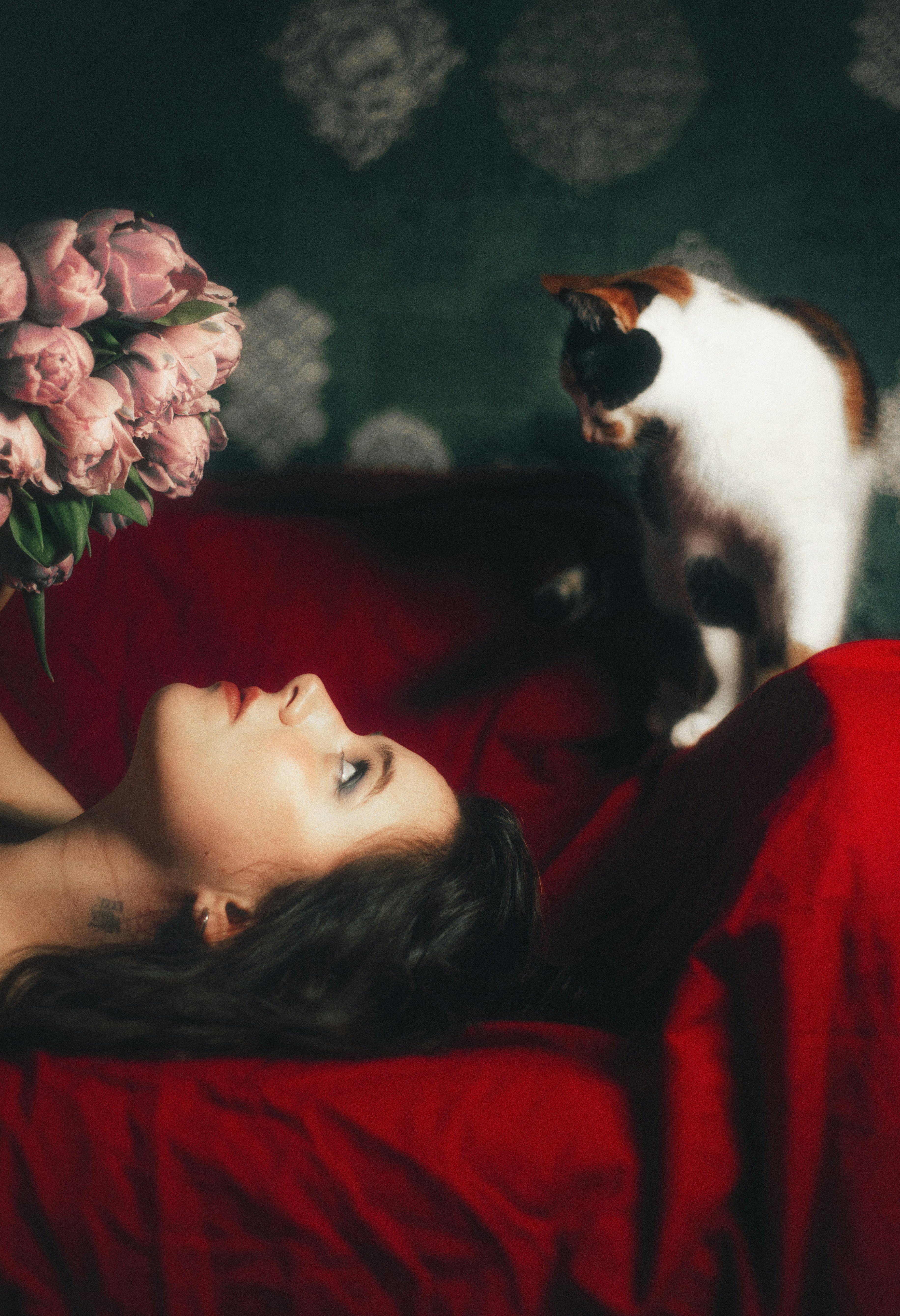 Blooms and Whiskers: A Quiet Moment on Velvet Red