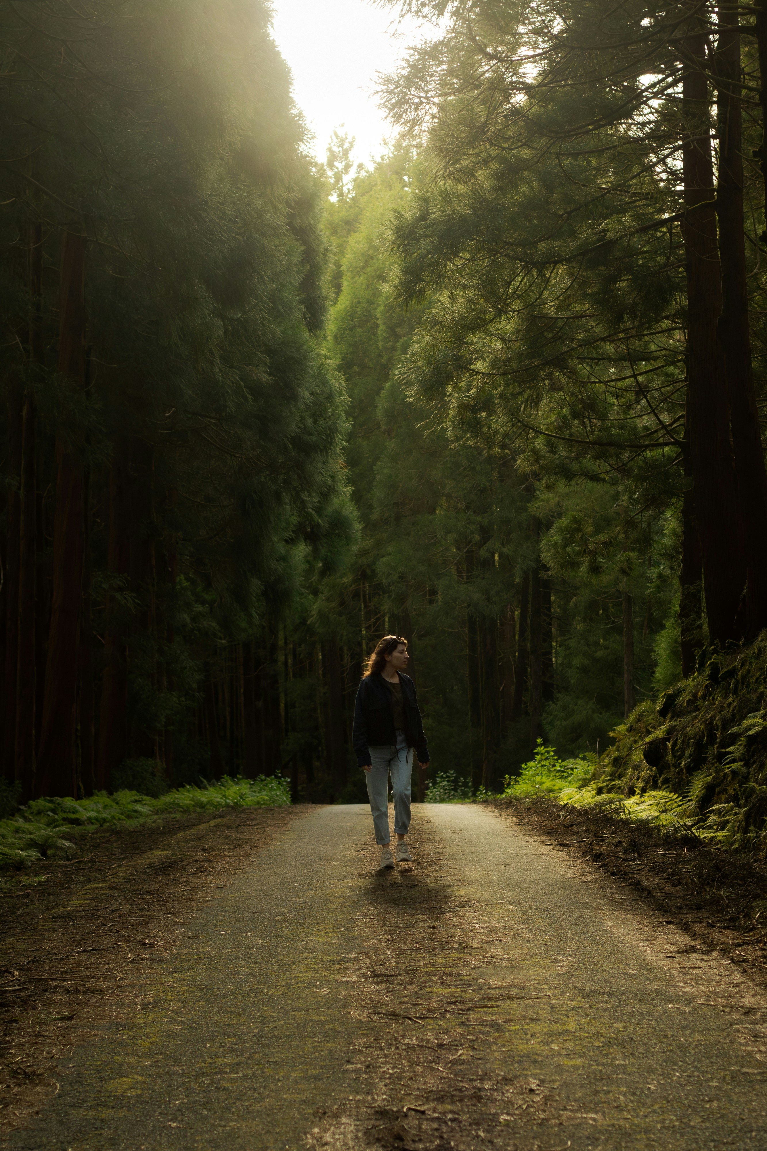 A lone traveler on a sunlit forest road