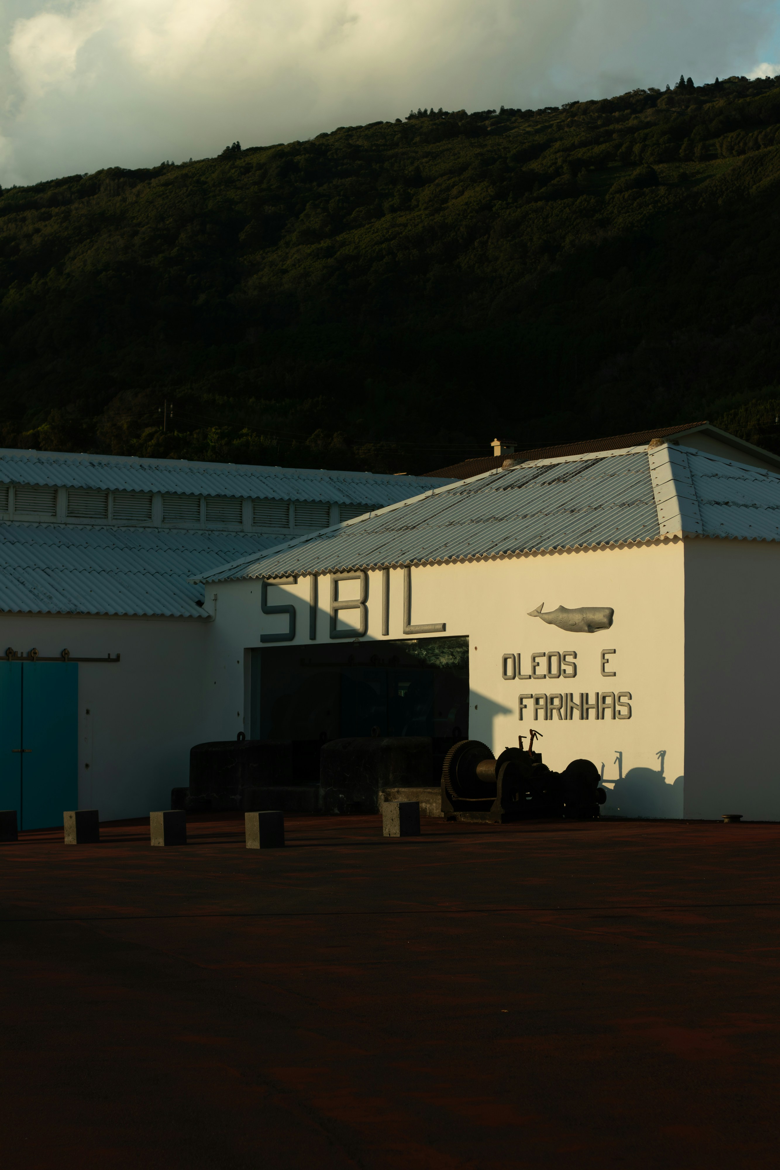 Sunlit Workshop by the Hills